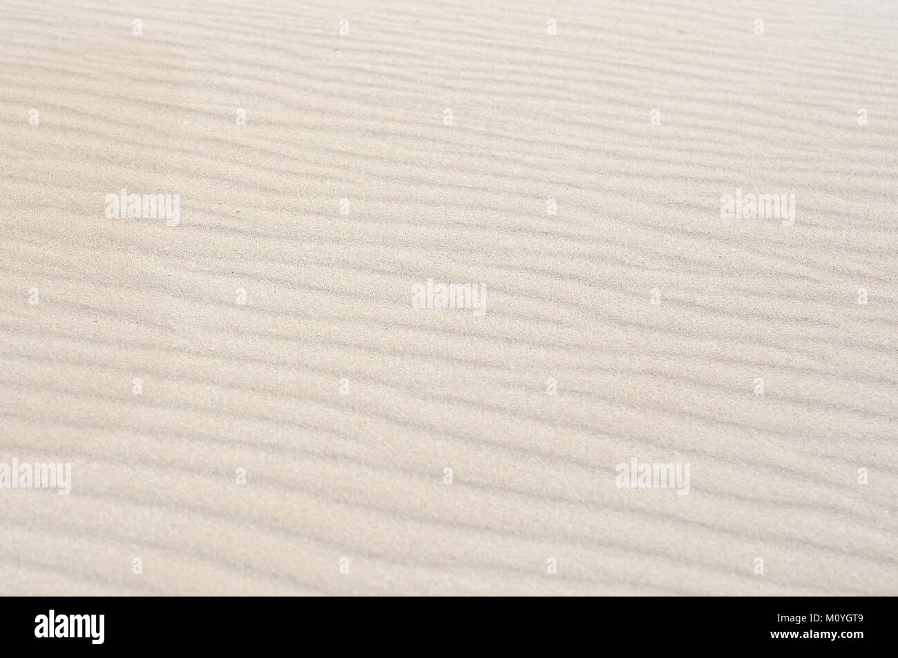 Sand texture. This is sand from Sahara desert Stock Photo - Alamy