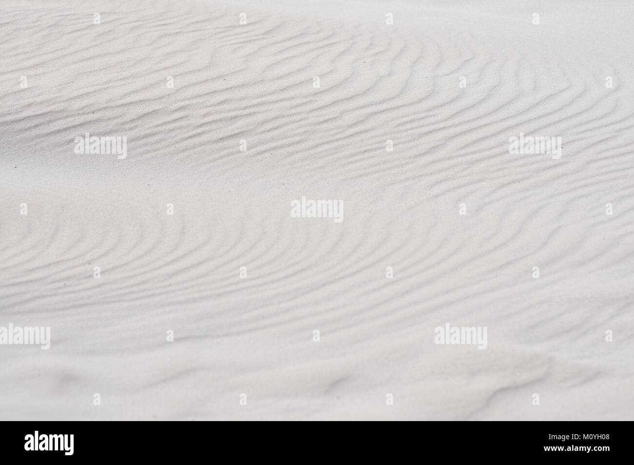 Sand texture. This is sand from Sahara desert patterned with strong ...
