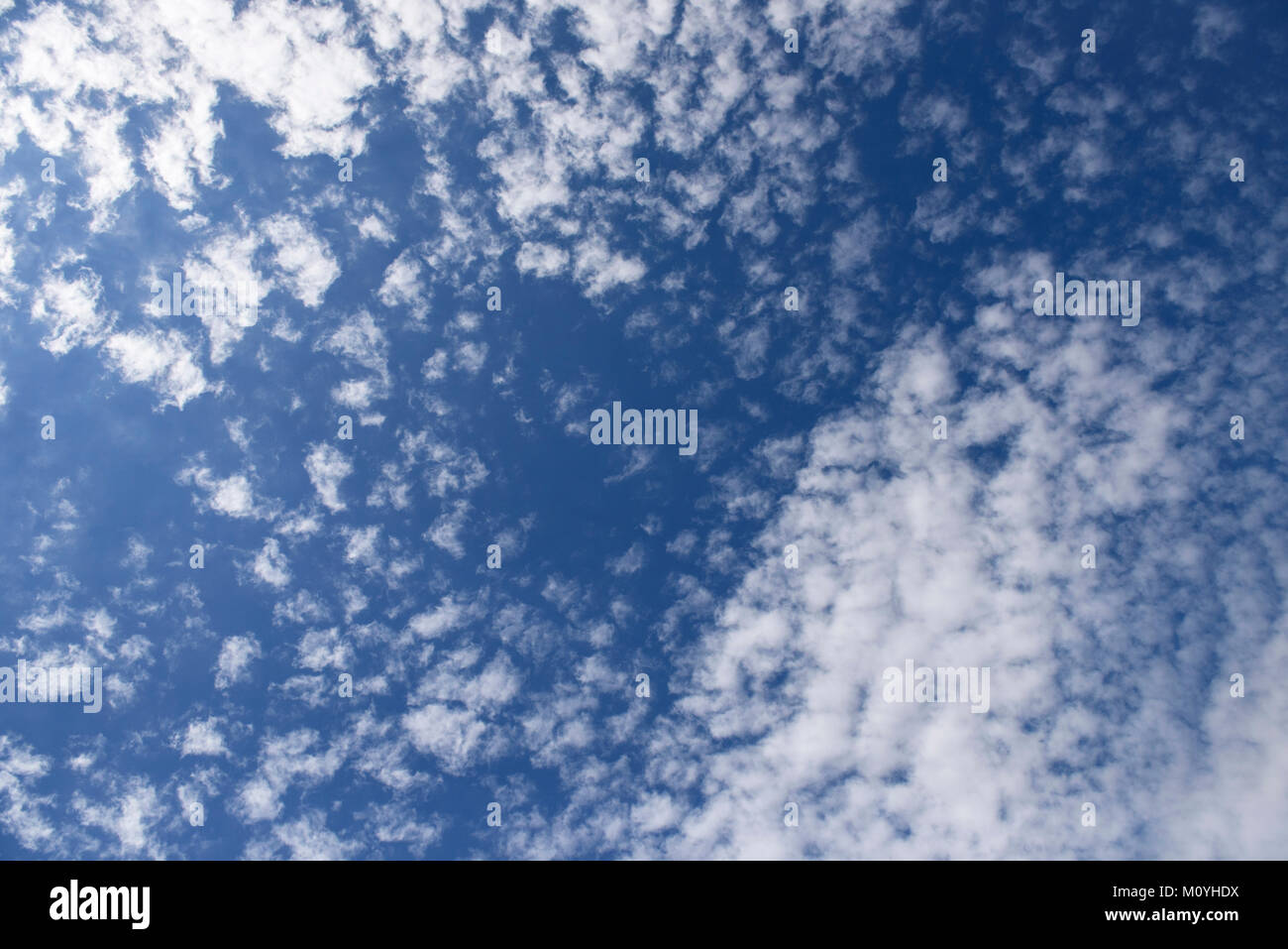 Many small puffy clouds against the blue sky Stock Photo - Alamy