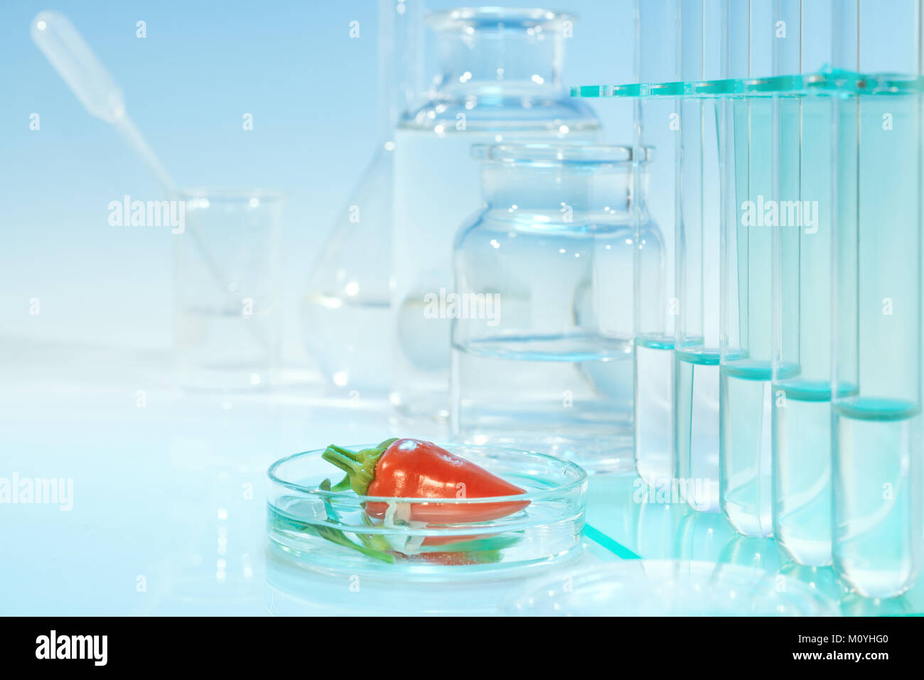 Testing red peppers for contamination with pesticides in laboratory ...