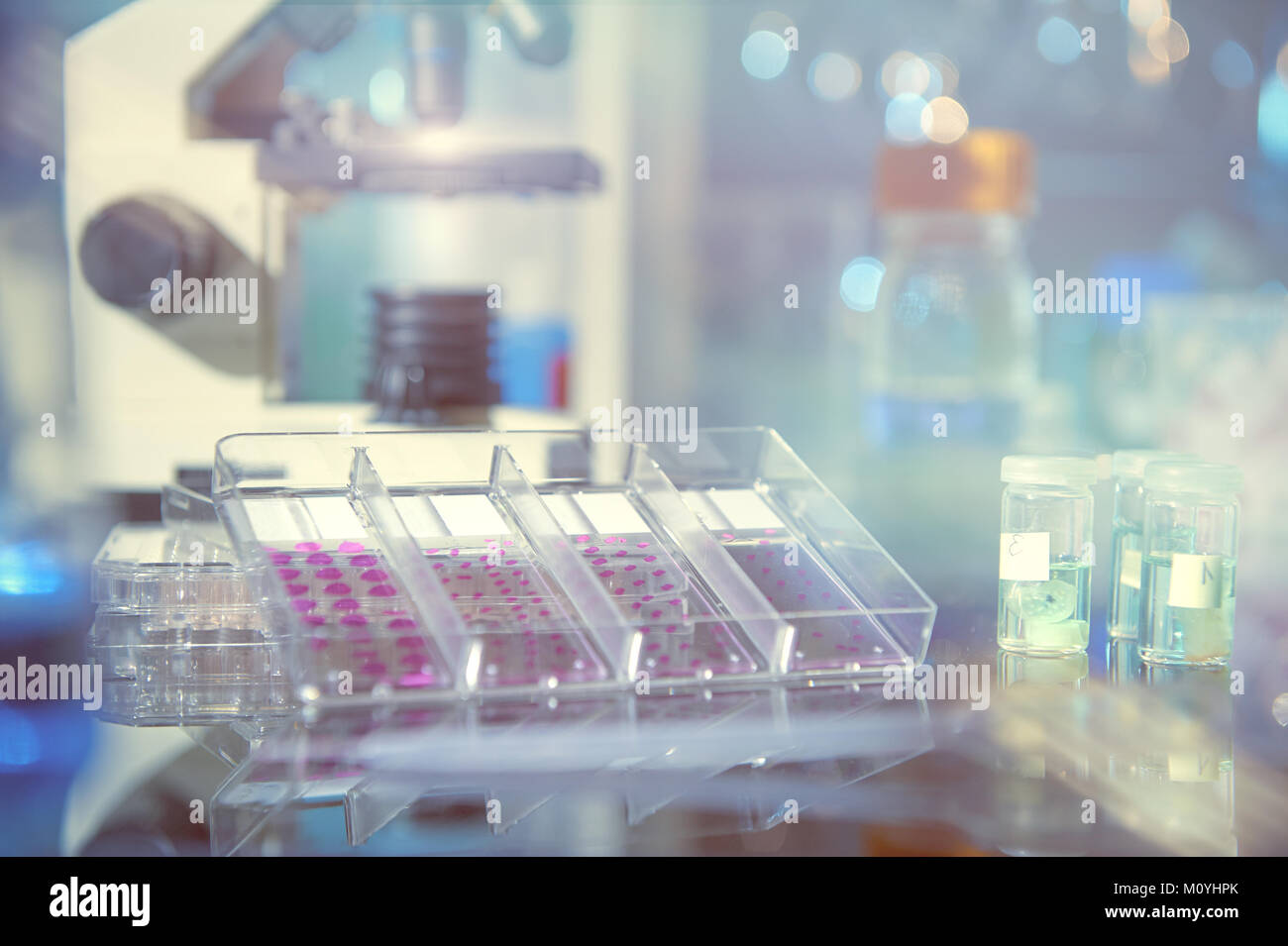 Scientific background with modern histopathology tools: stained ...