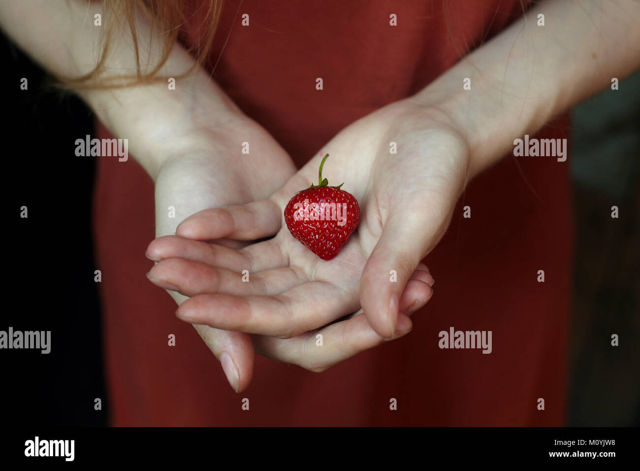 Strawberry in hand of woman Stock Photo - Alamy