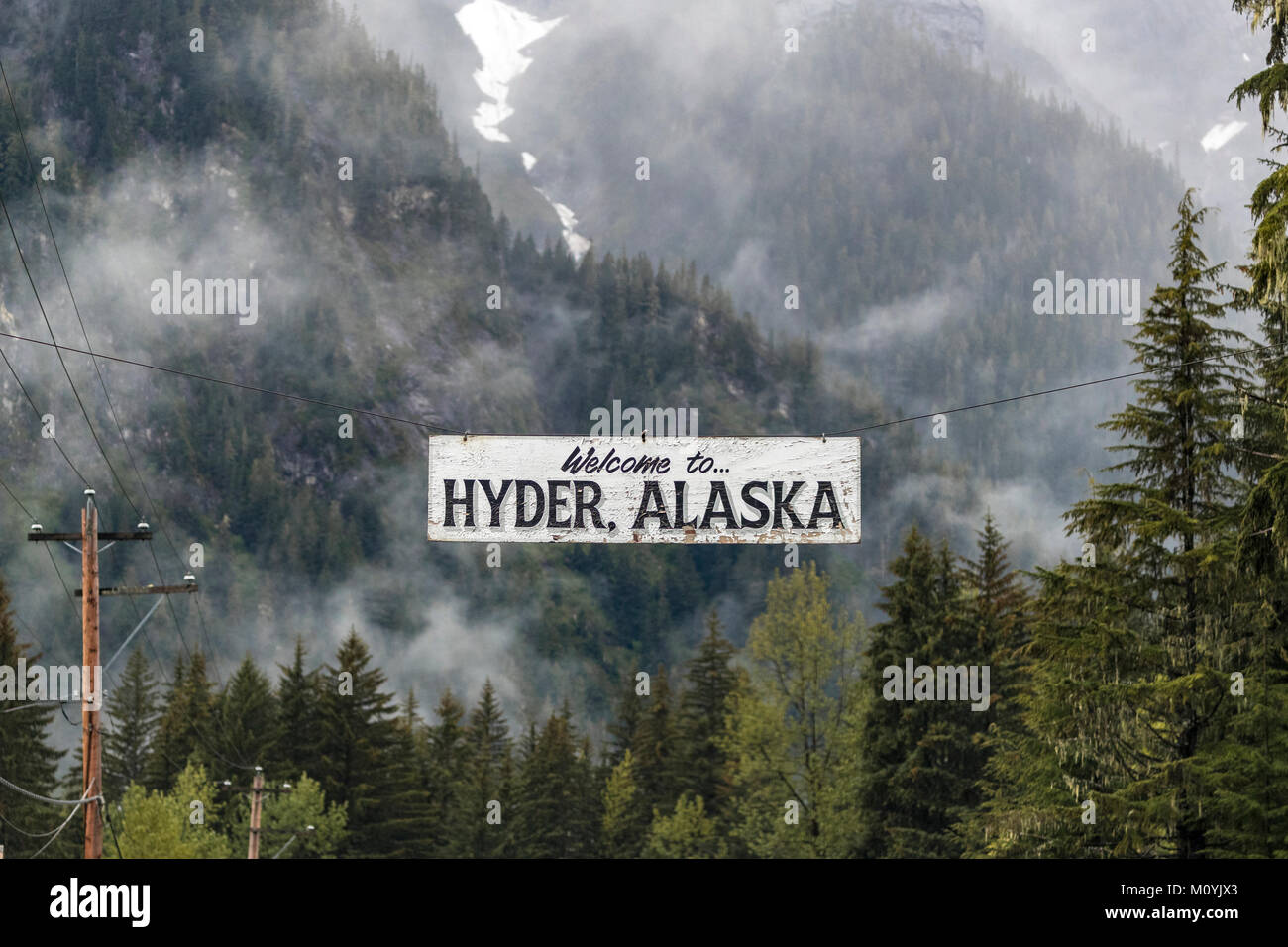 Welcome sign hanging in forest Stock Photo - Alamy