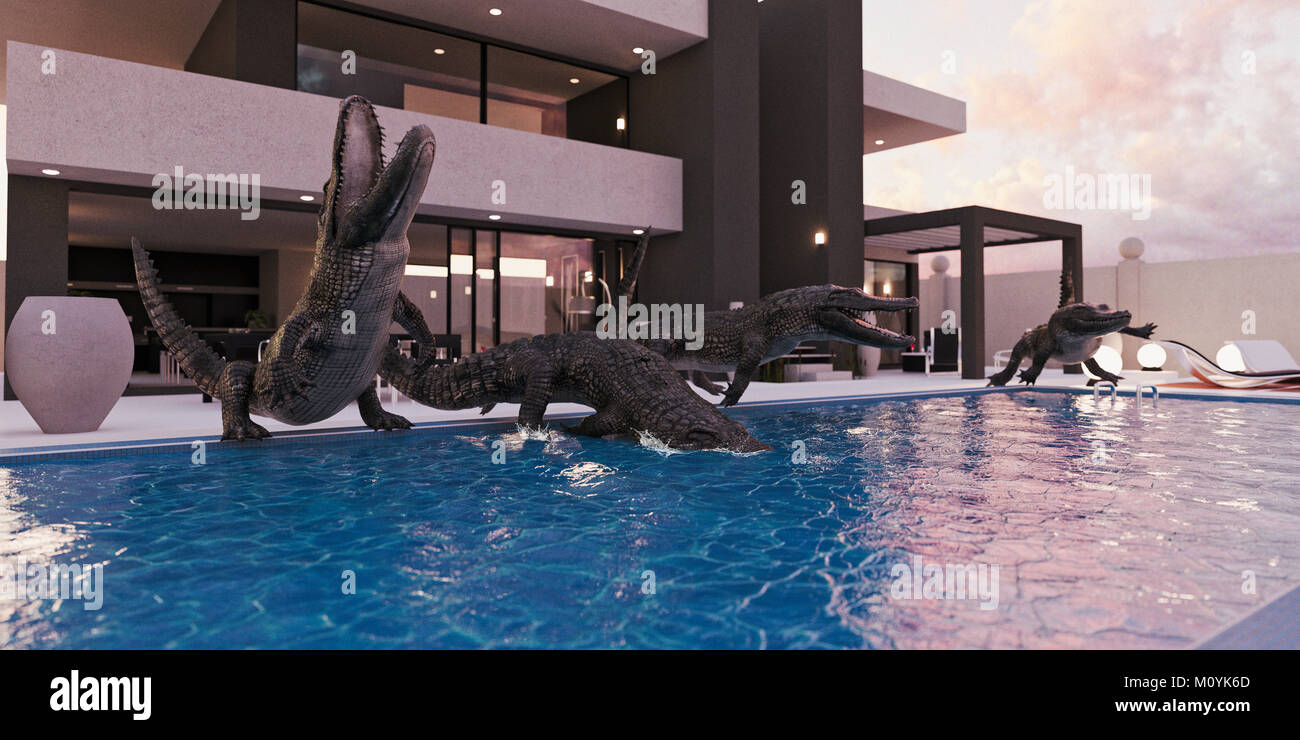 Crocodiles in luxury swimming pool Stock Photo - Alamy