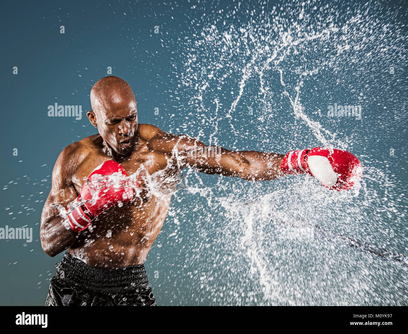 Water splashing on black boxer punching Stock Photo - Alamy