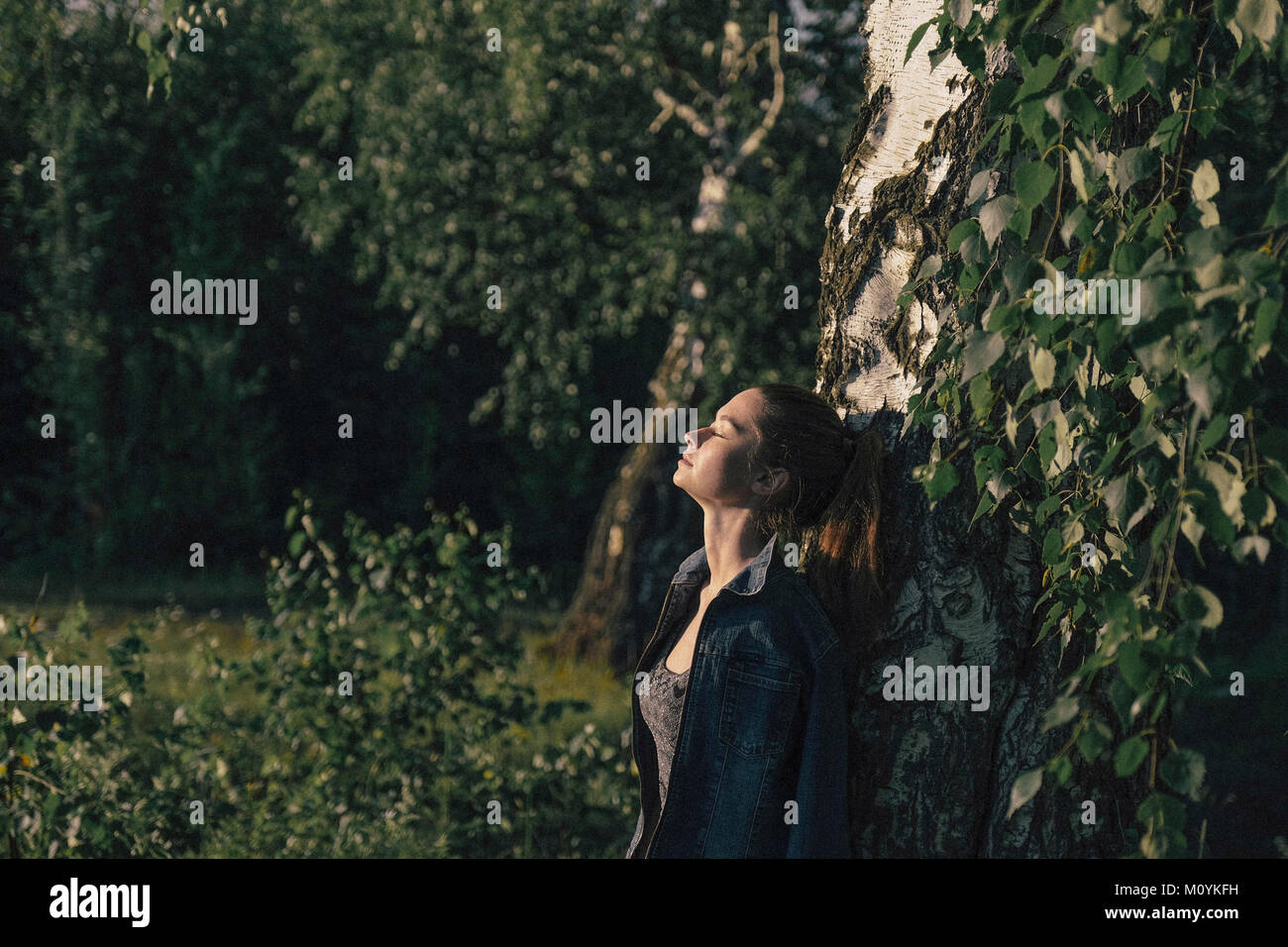 Tired tree hi-res stock photography and images - Alamy