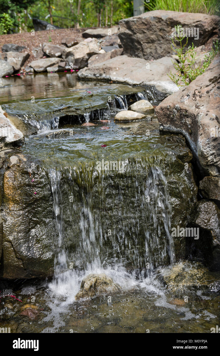 Water fall in a landscape garden water feature Stock Photo - Alamy