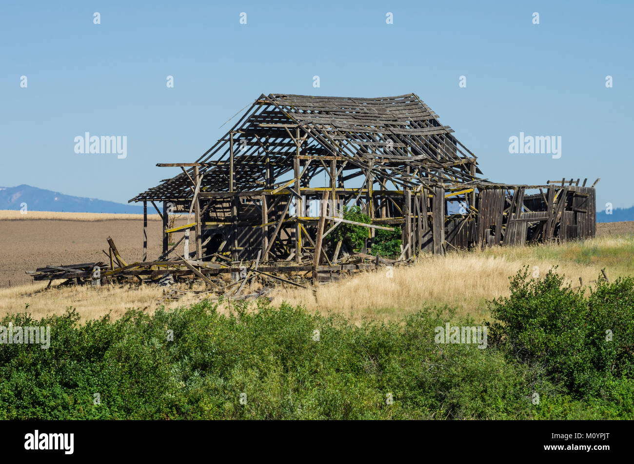 Vintage post and beam barn abandoned and falling apart. Washington, USA ...
