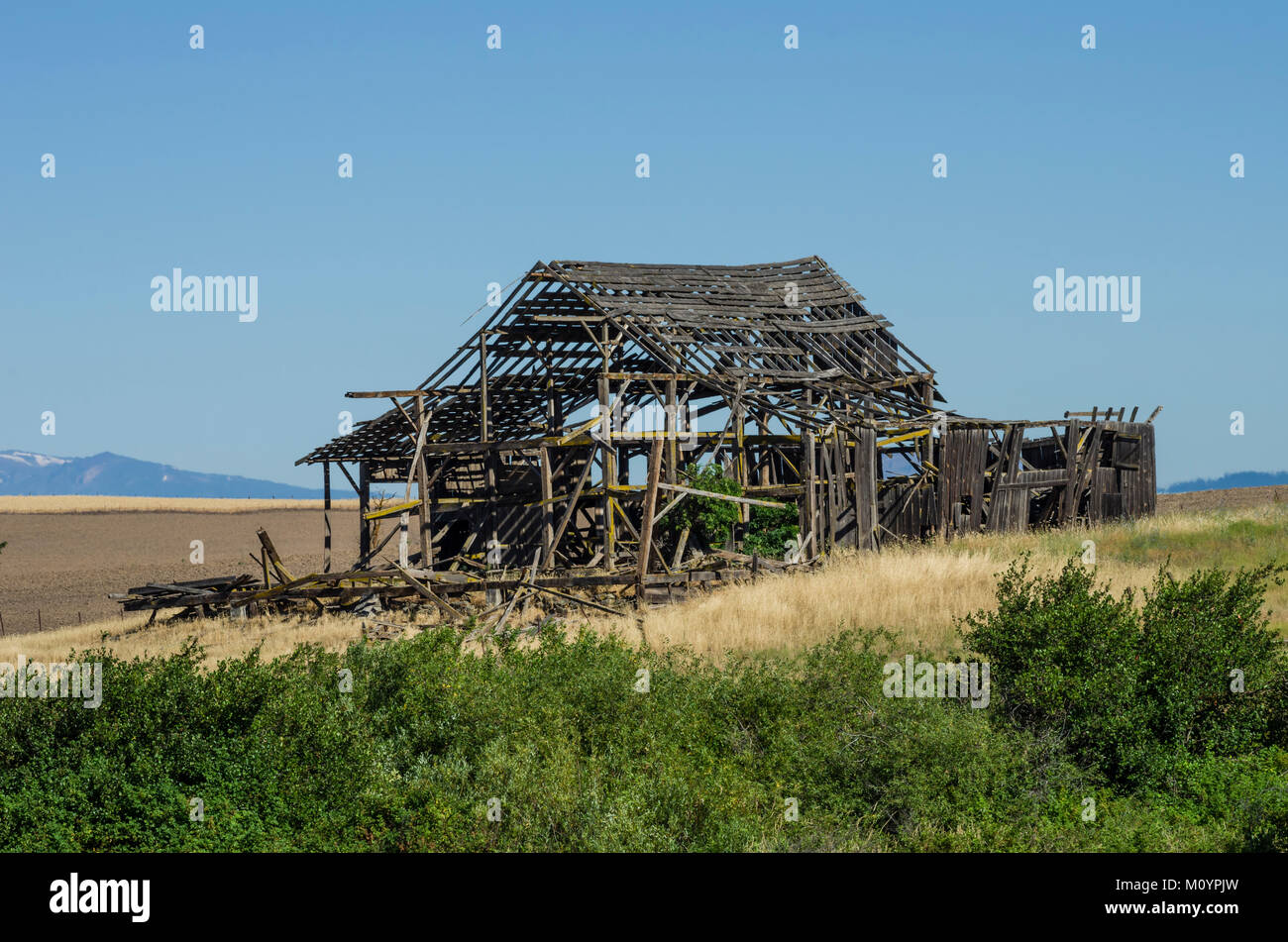 Vintage post and beam barn abandoned and falling apart. Washington, USA ...