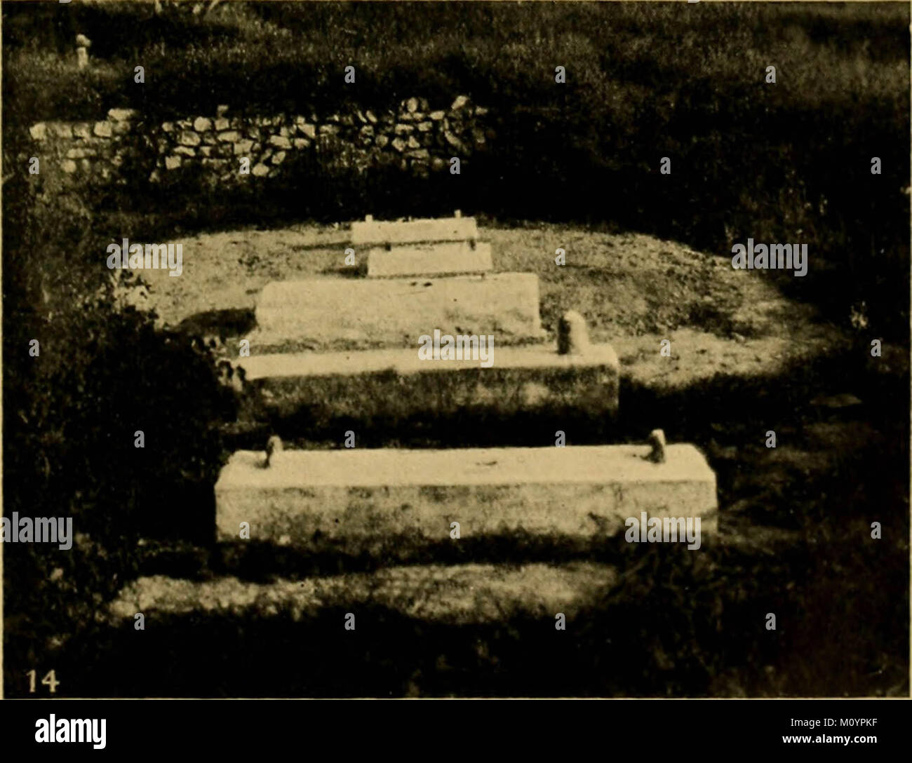 "The ban of the Bori; demons and demon-dancing in West and North Africa ...