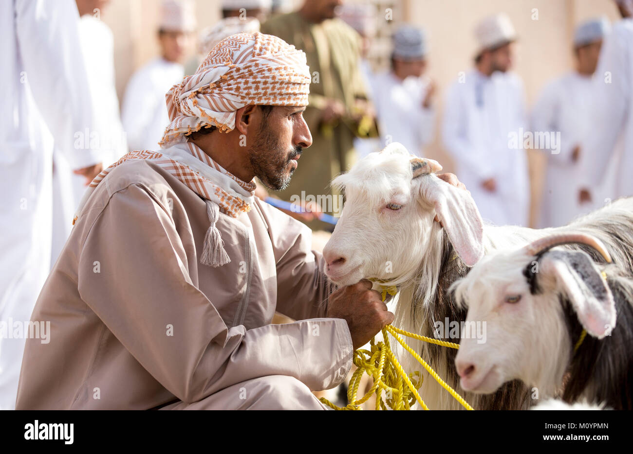 Nizwa, Oman, June 23rd, 2017: omani man with his goat in Nizwa goat ...