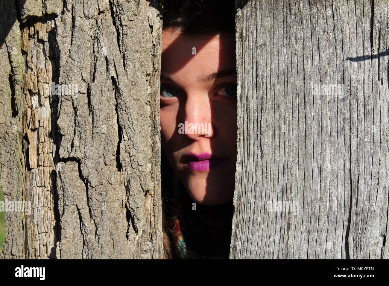 Female peering through wooden fence Stock Photo - Alamy