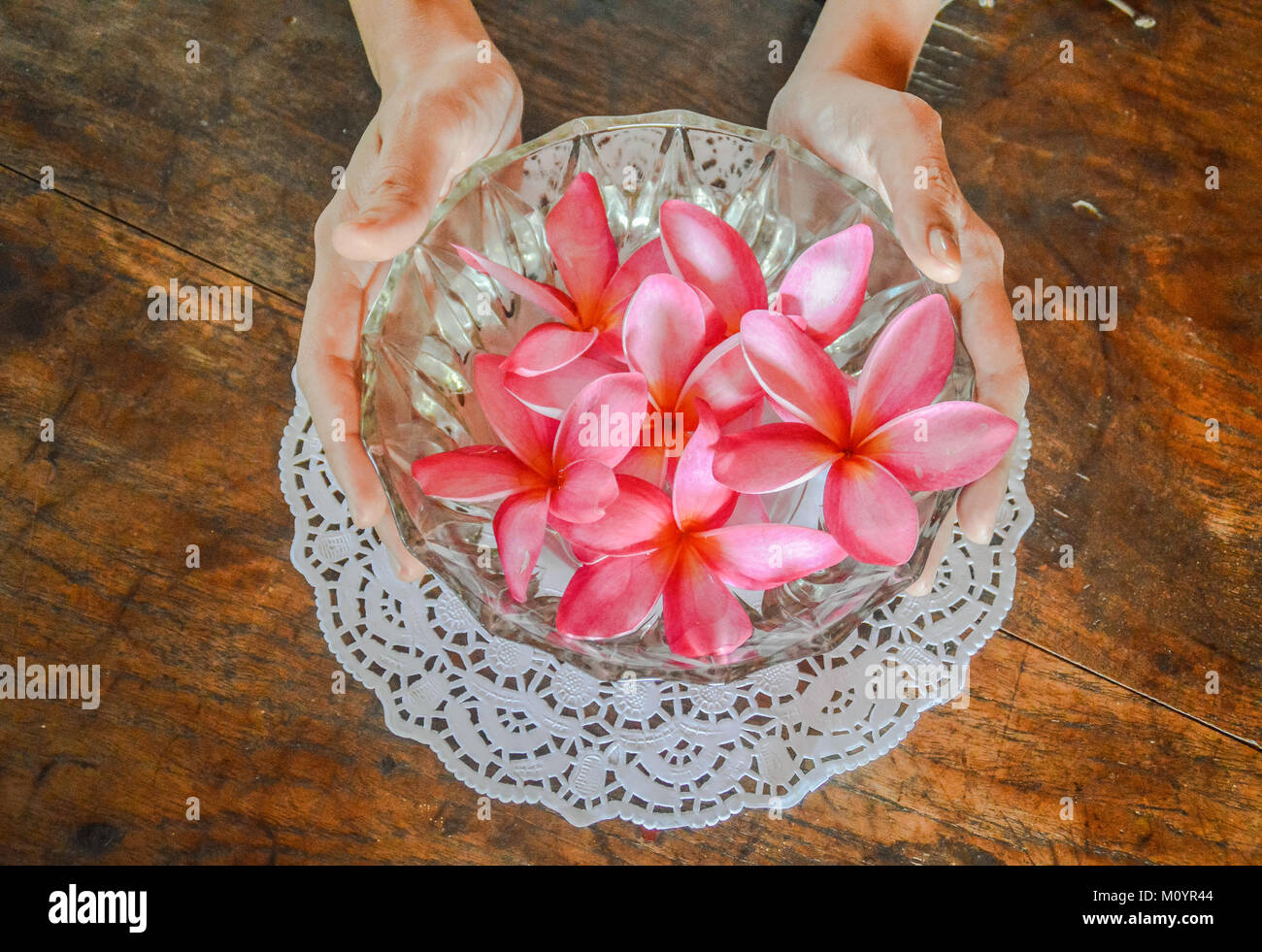 Conceptual photography showing the healing power of nature and harmony ...