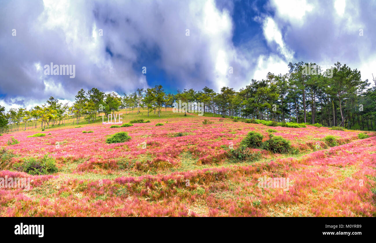 Love park dalat hi-res stock photography and images - Alamy