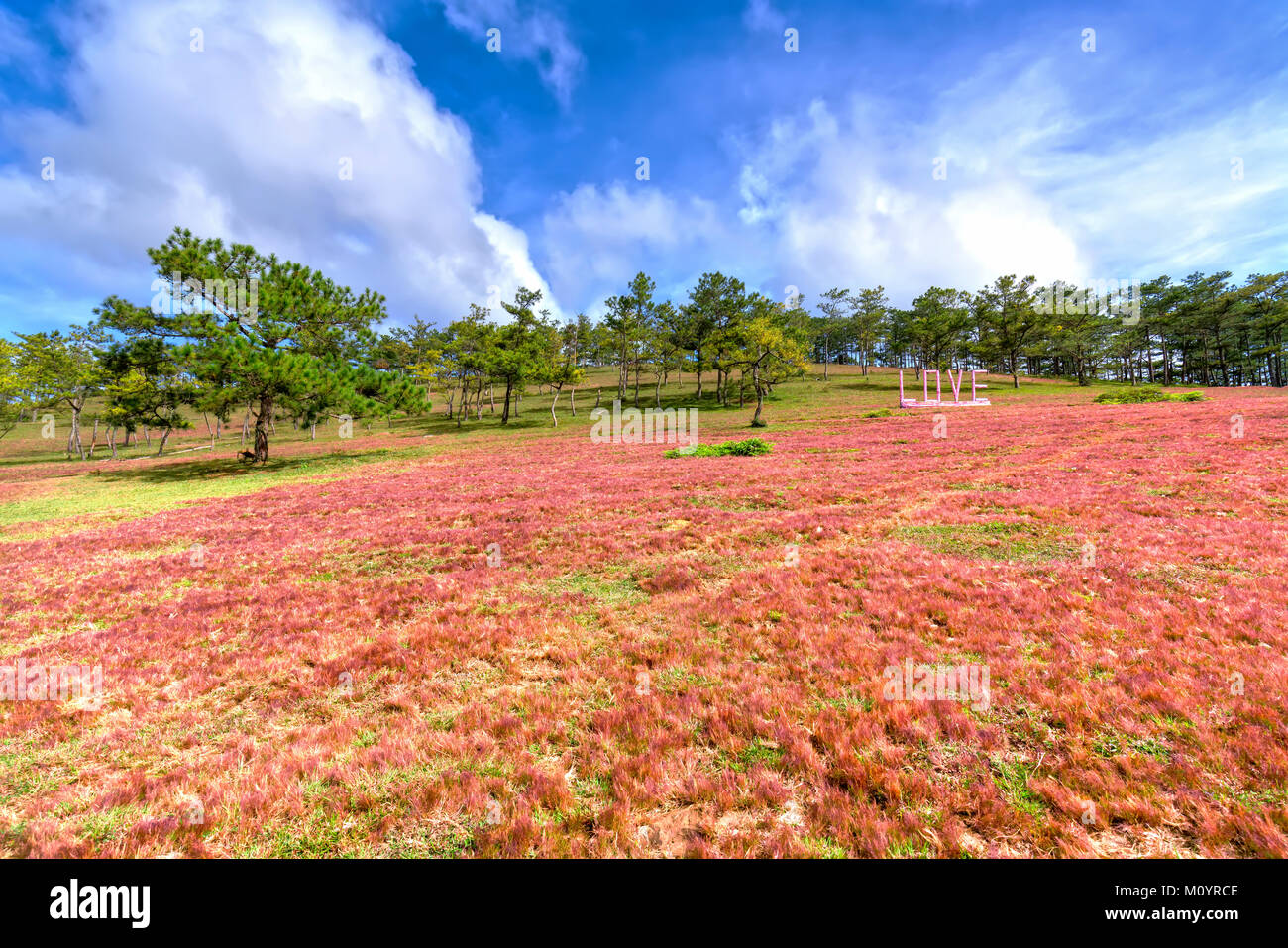 Love park dalat hi-res stock photography and images - Alamy