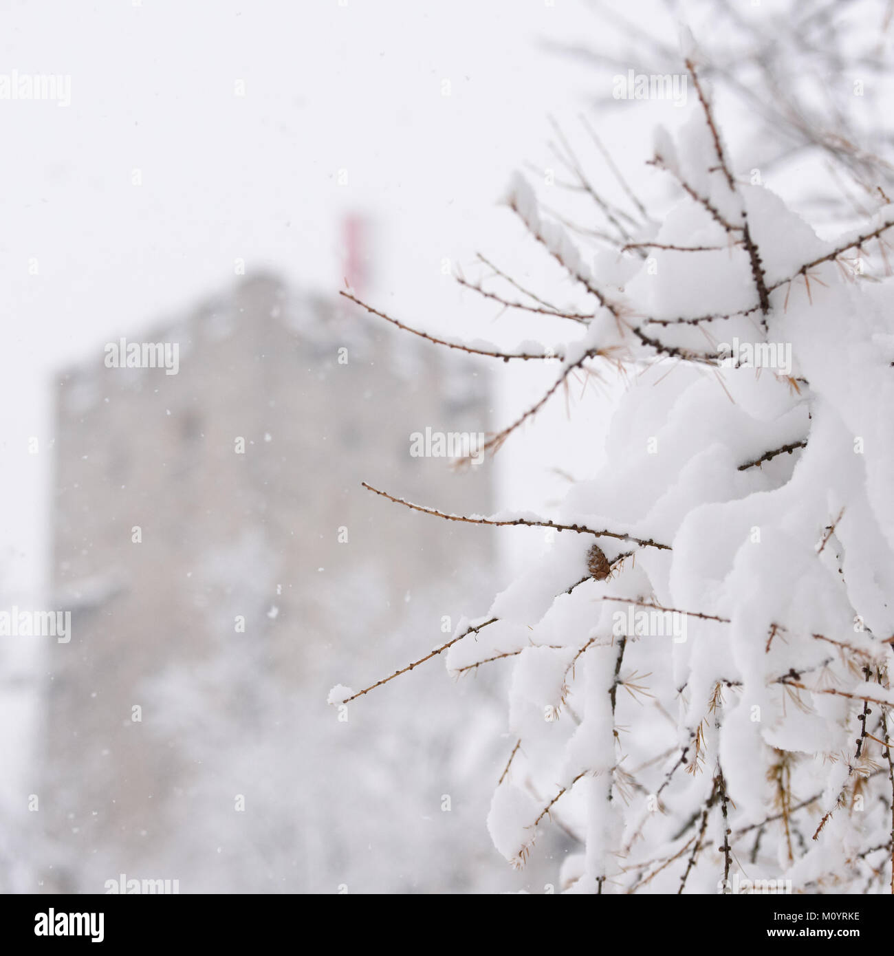 Dobbiaco during the snowfall Stock Photo - Alamy