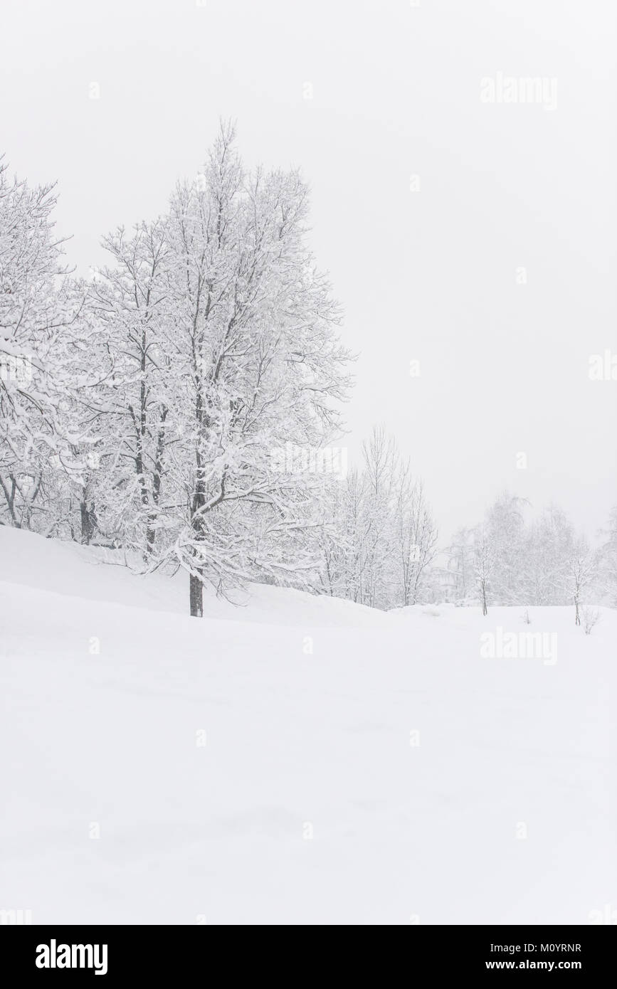 Dobbiaco during the snowfall Stock Photo - Alamy