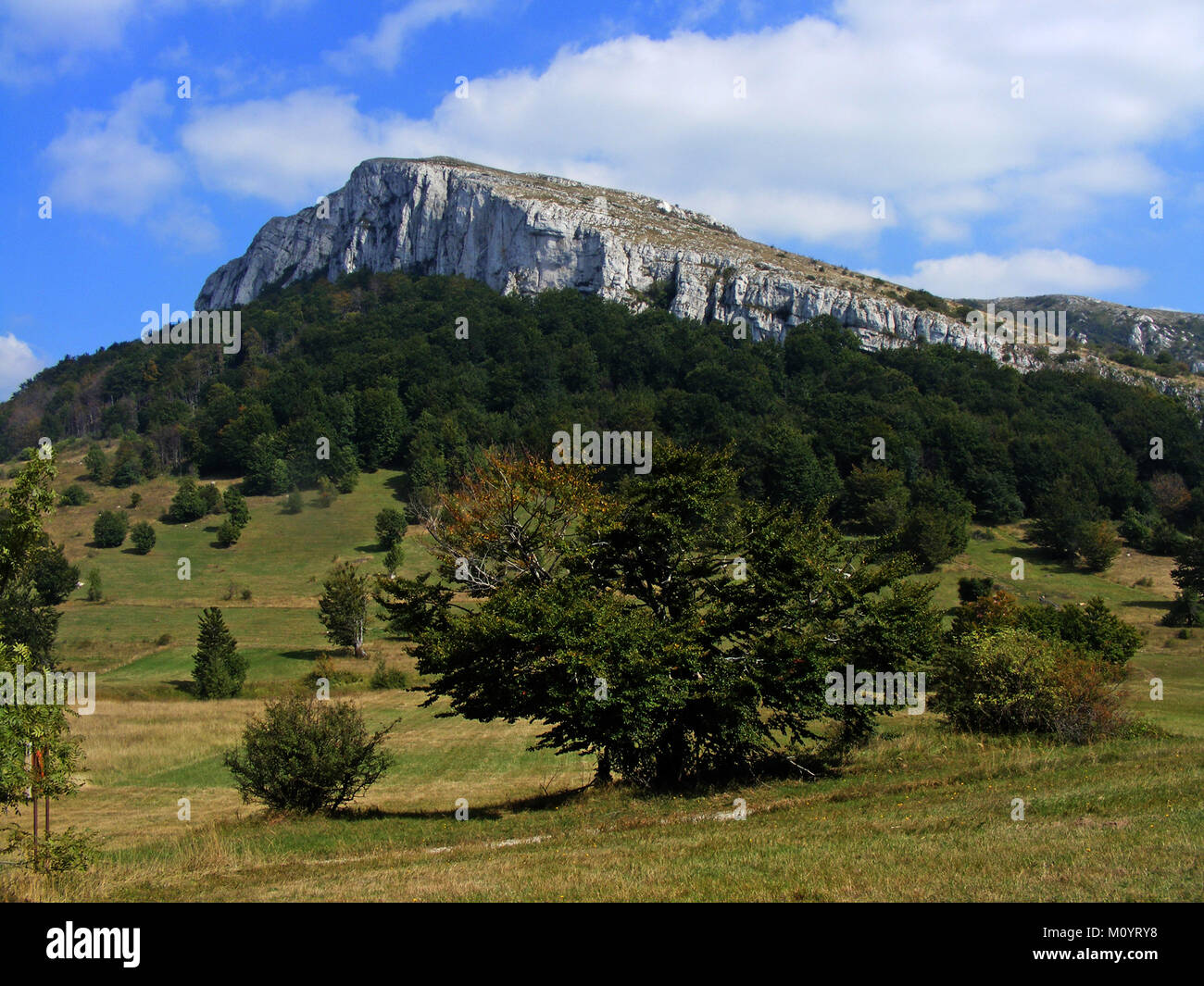 Bor serbia hi-res stock photography and images - Alamy