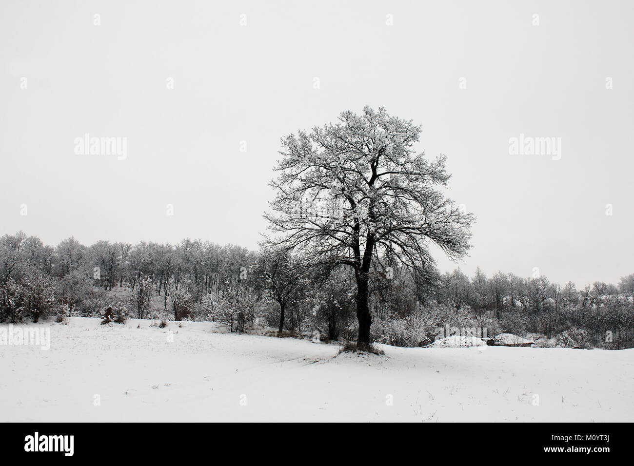 Winter in Serbia Stock Photo - Alamy
