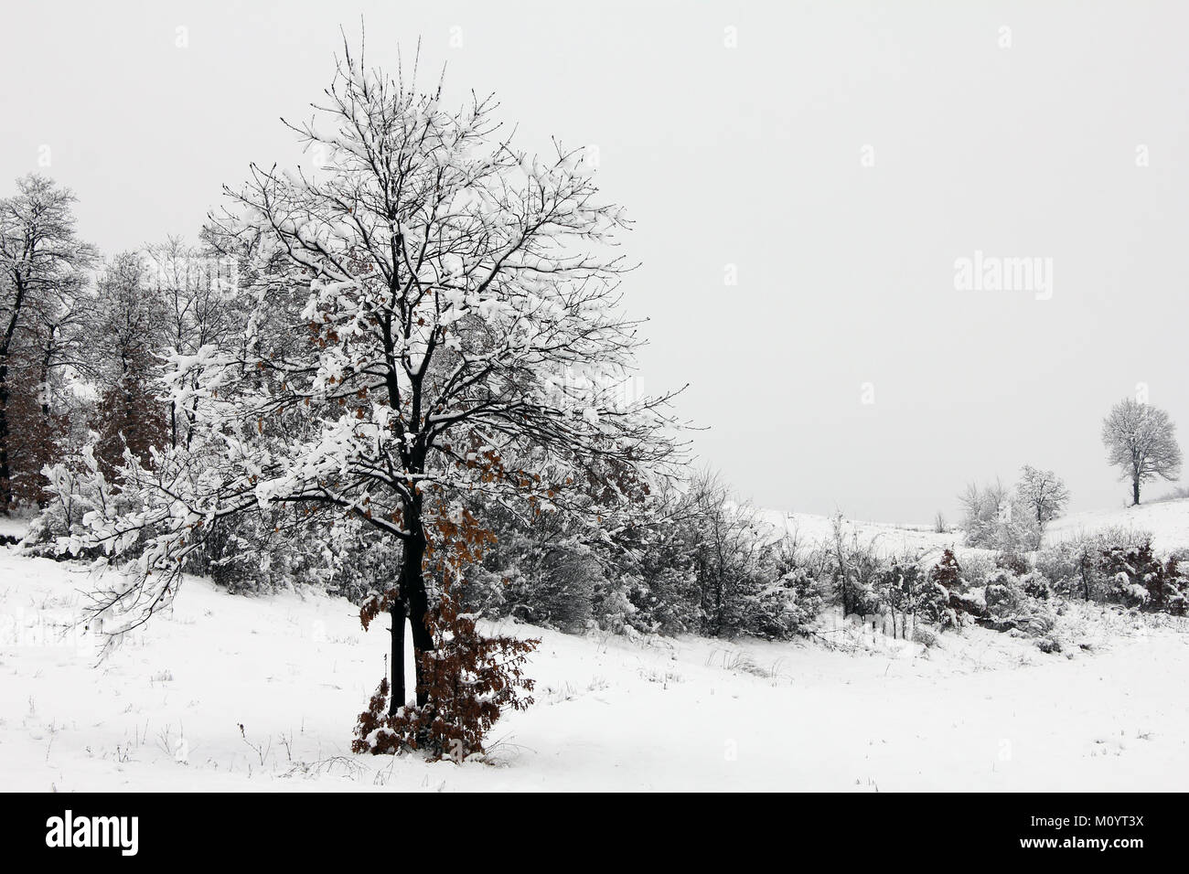 Winter in Serbia Stock Photo - Alamy