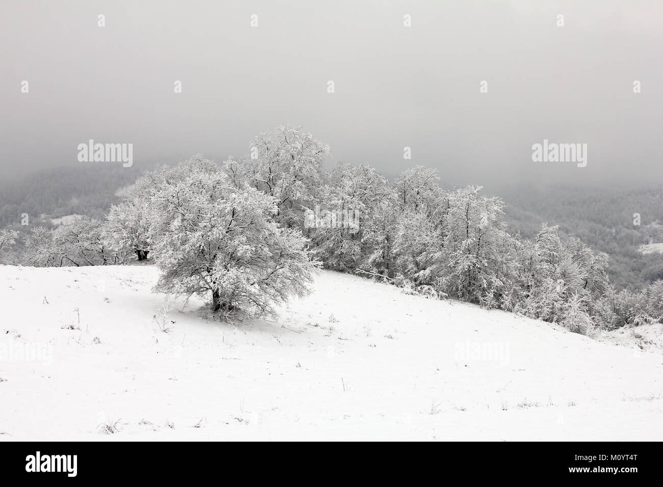 Winter in Serbia Stock Photo - Alamy