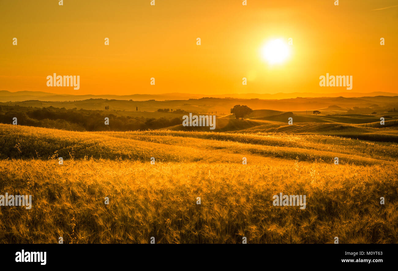 Beautiful sunset over fields view hi-res stock photography and images ...