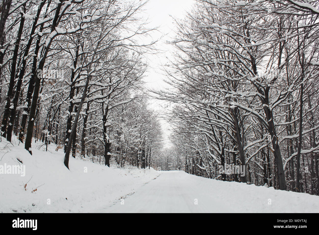 Winter in Serbia Stock Photo - Alamy