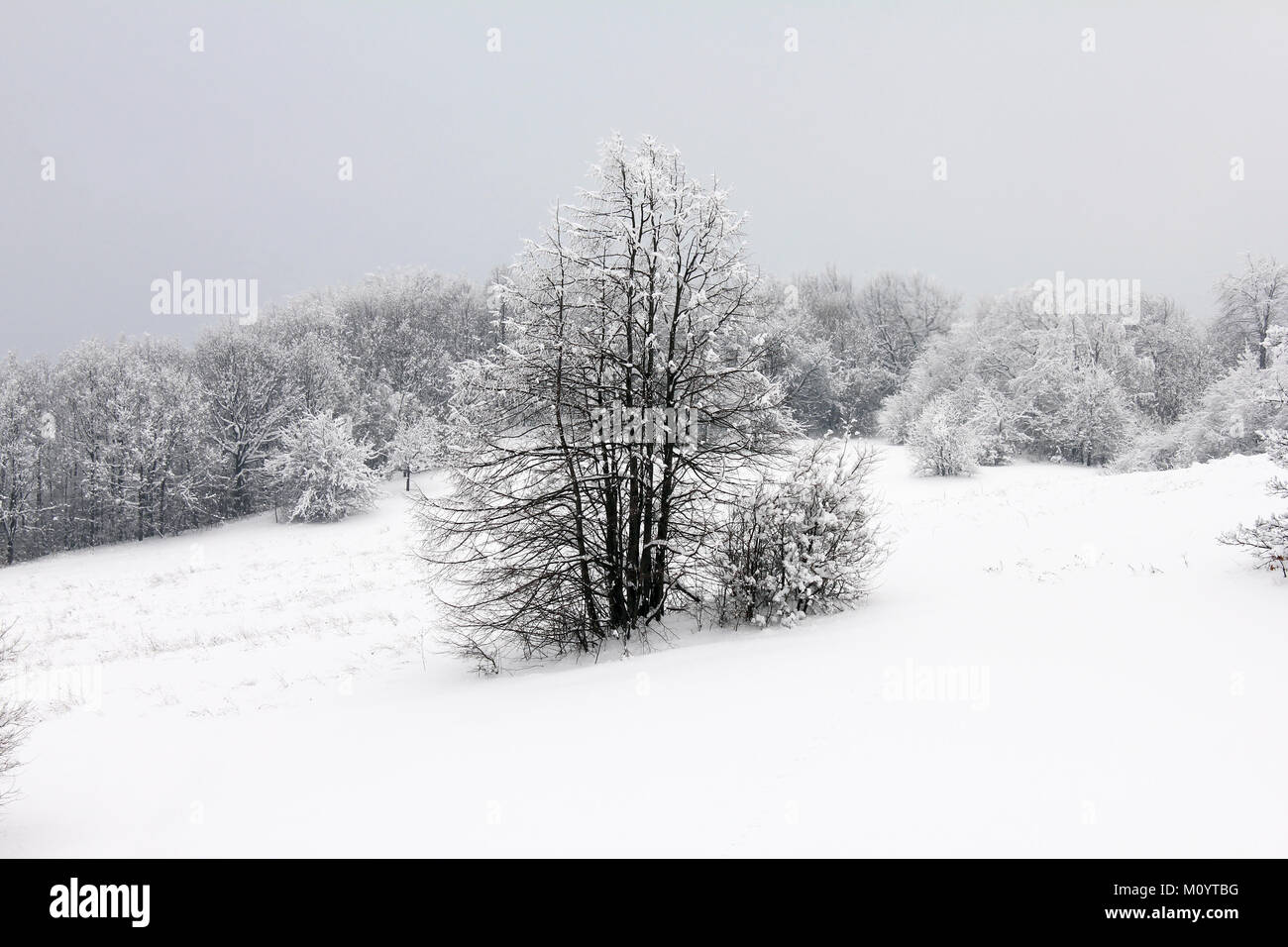 Winter in Serbia Stock Photo - Alamy