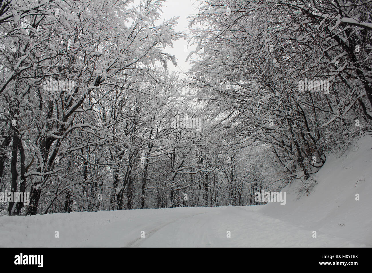 Winter in Serbia Stock Photo - Alamy