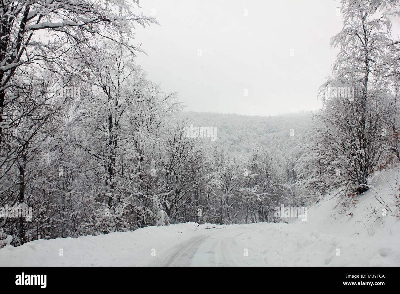 Winter in Serbia Stock Photo - Alamy