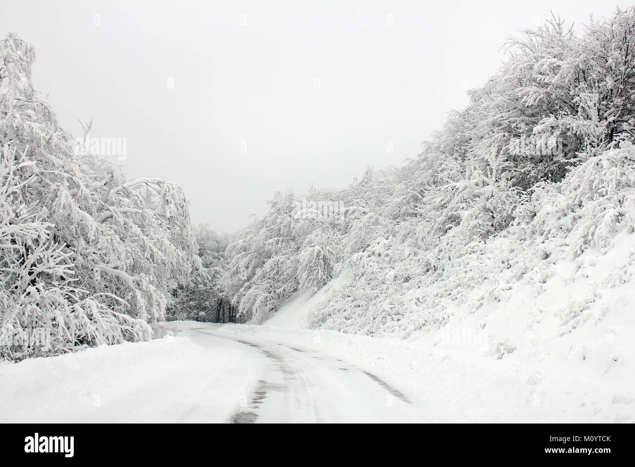 Winter in Serbia Stock Photo - Alamy
