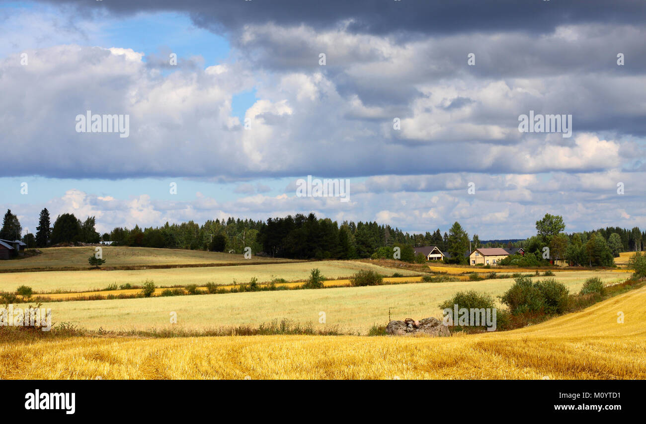 beautiful landscape with farm, fields and sky Stock Photo - Alamy