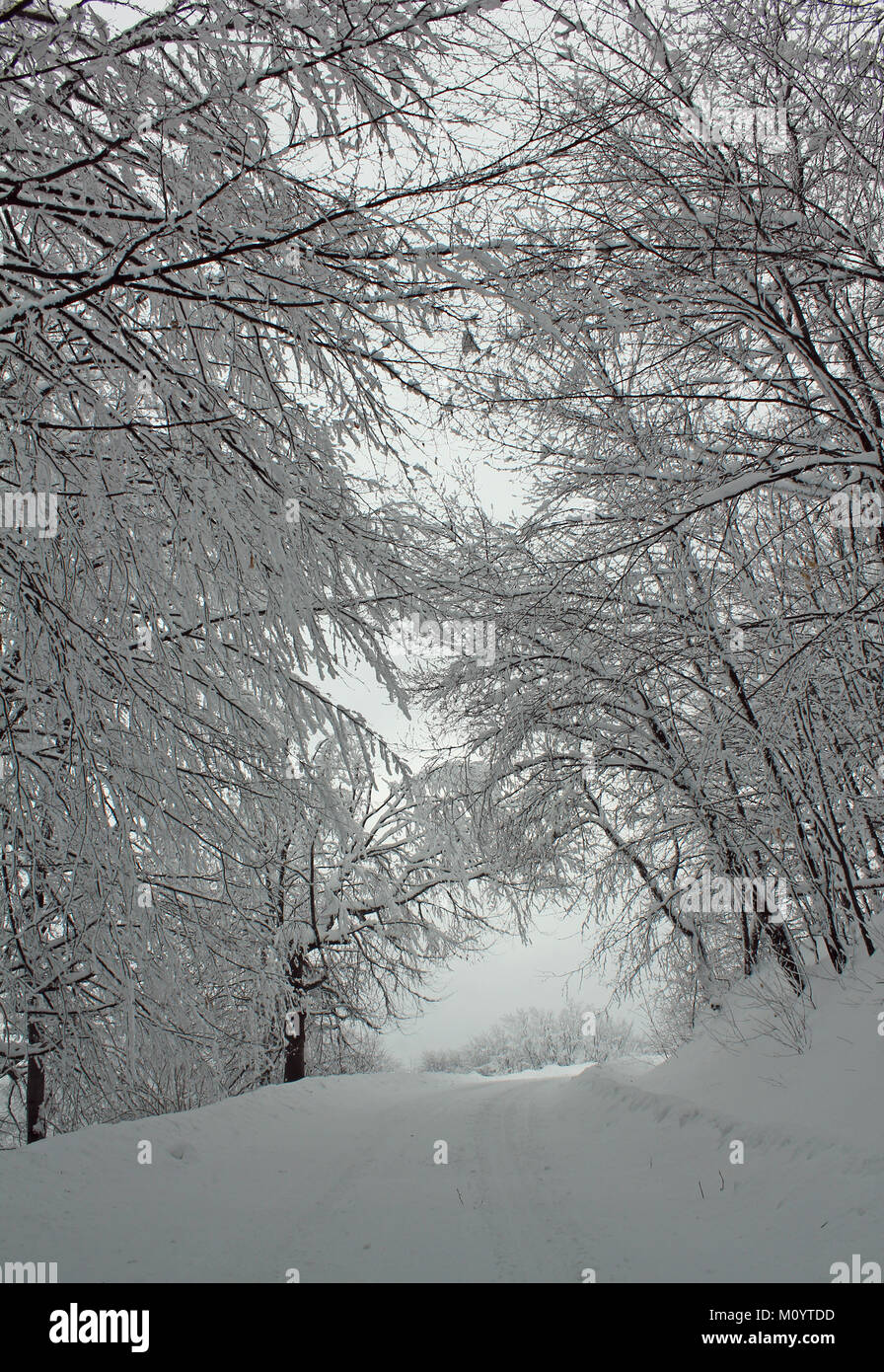 Winter in Serbia Stock Photo - Alamy