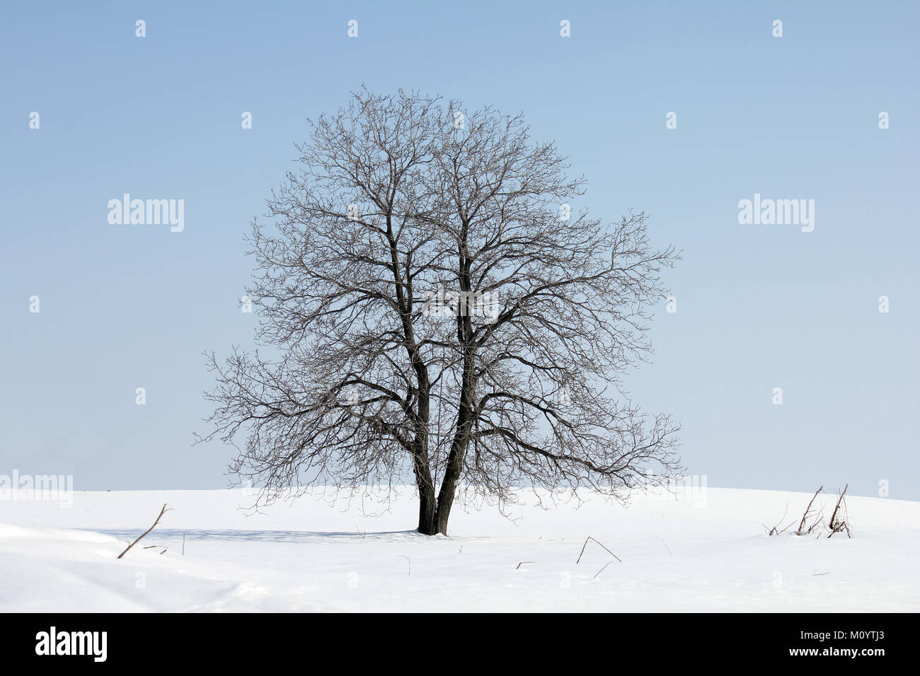 Winter in Serbia Stock Photo - Alamy