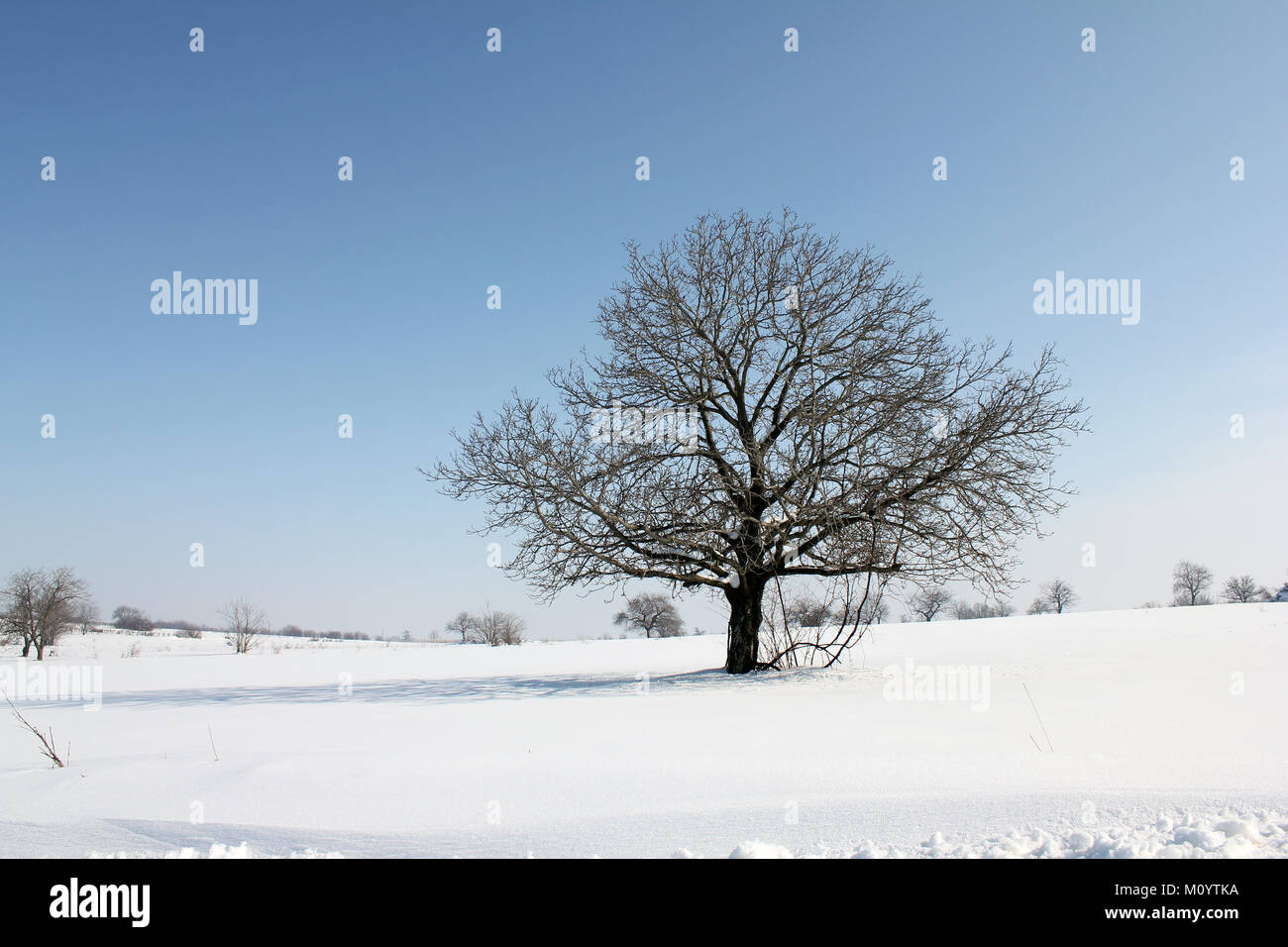Winter in Serbia Stock Photo - Alamy