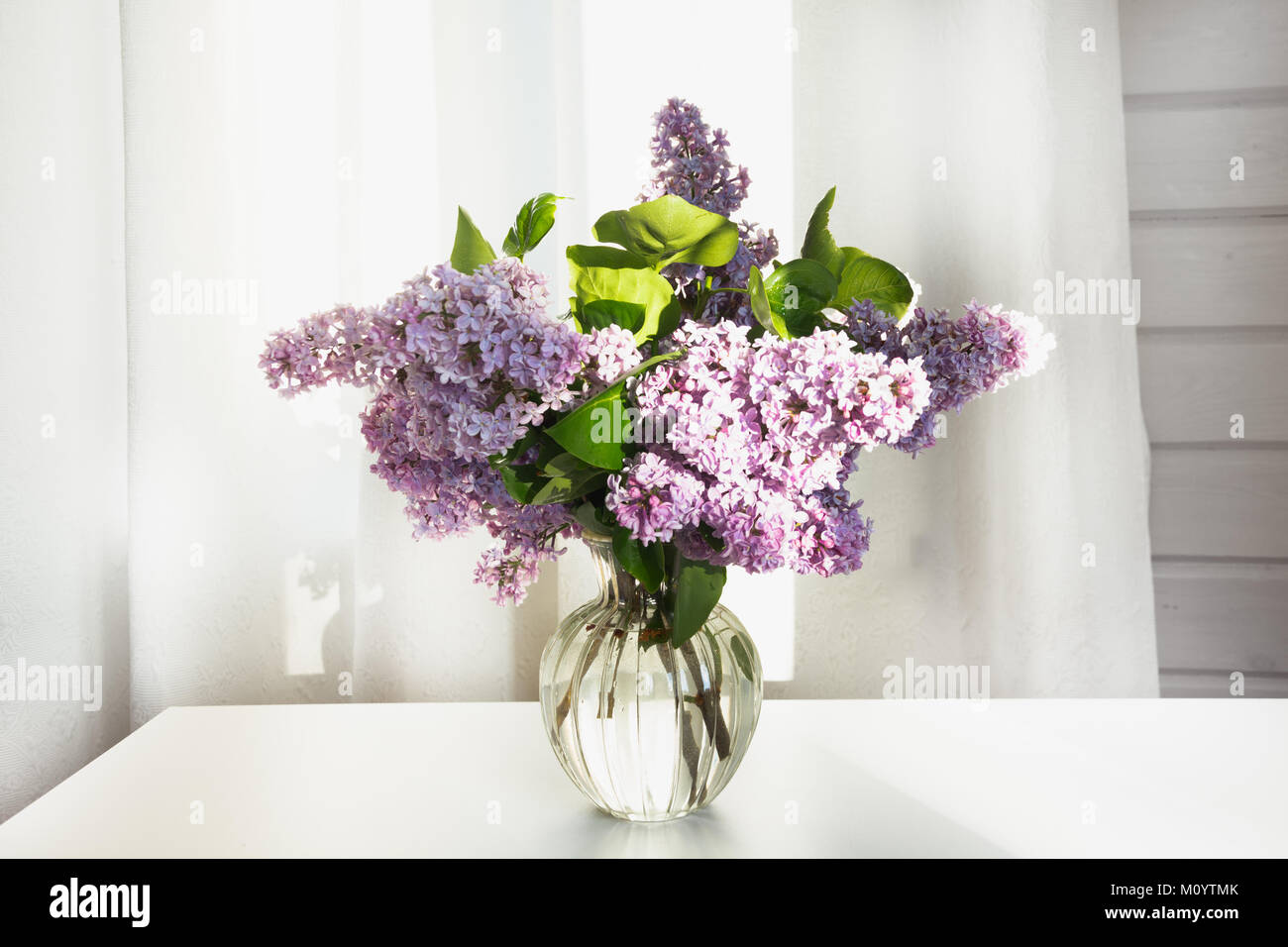 Lilacs in a glass vase hi-res stock photography and images - Alamy