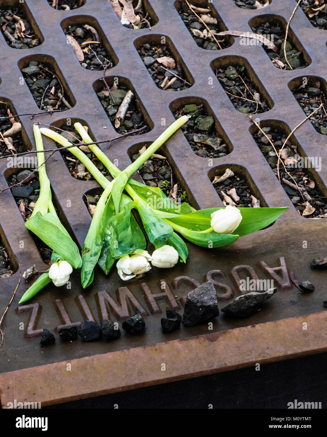 Berlin-Grunewald station. Flowers on Deutsche Bahn Gleis 17 (Platform ...