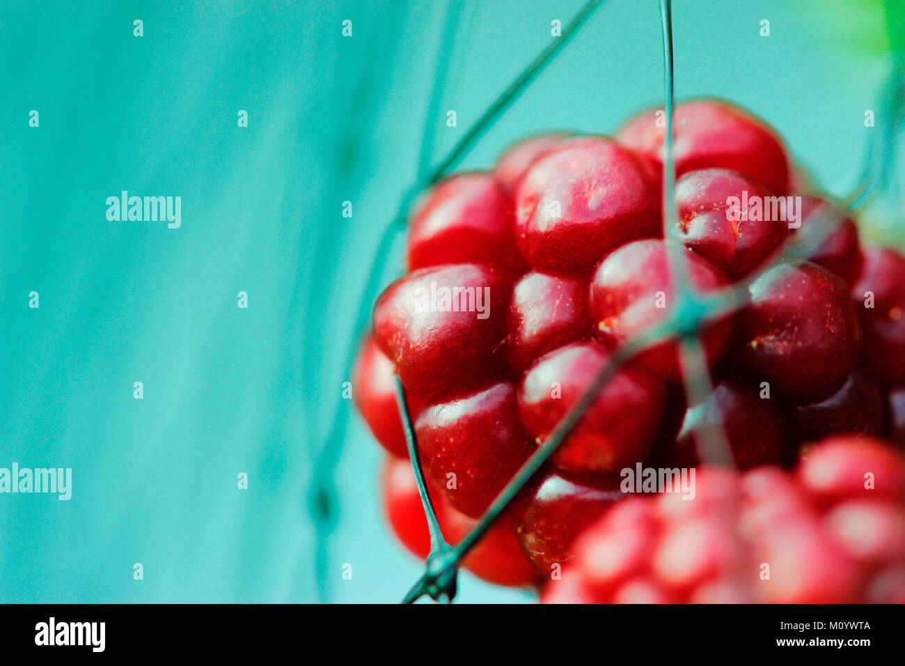 Gemona del friuli italy hi-res stock photography and images - Alamy