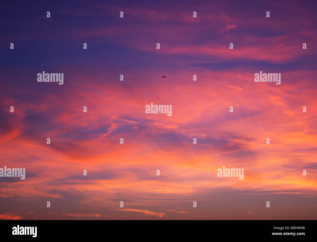 A vivid dusk shot in Udine, Italy during the end of August. The shades ...