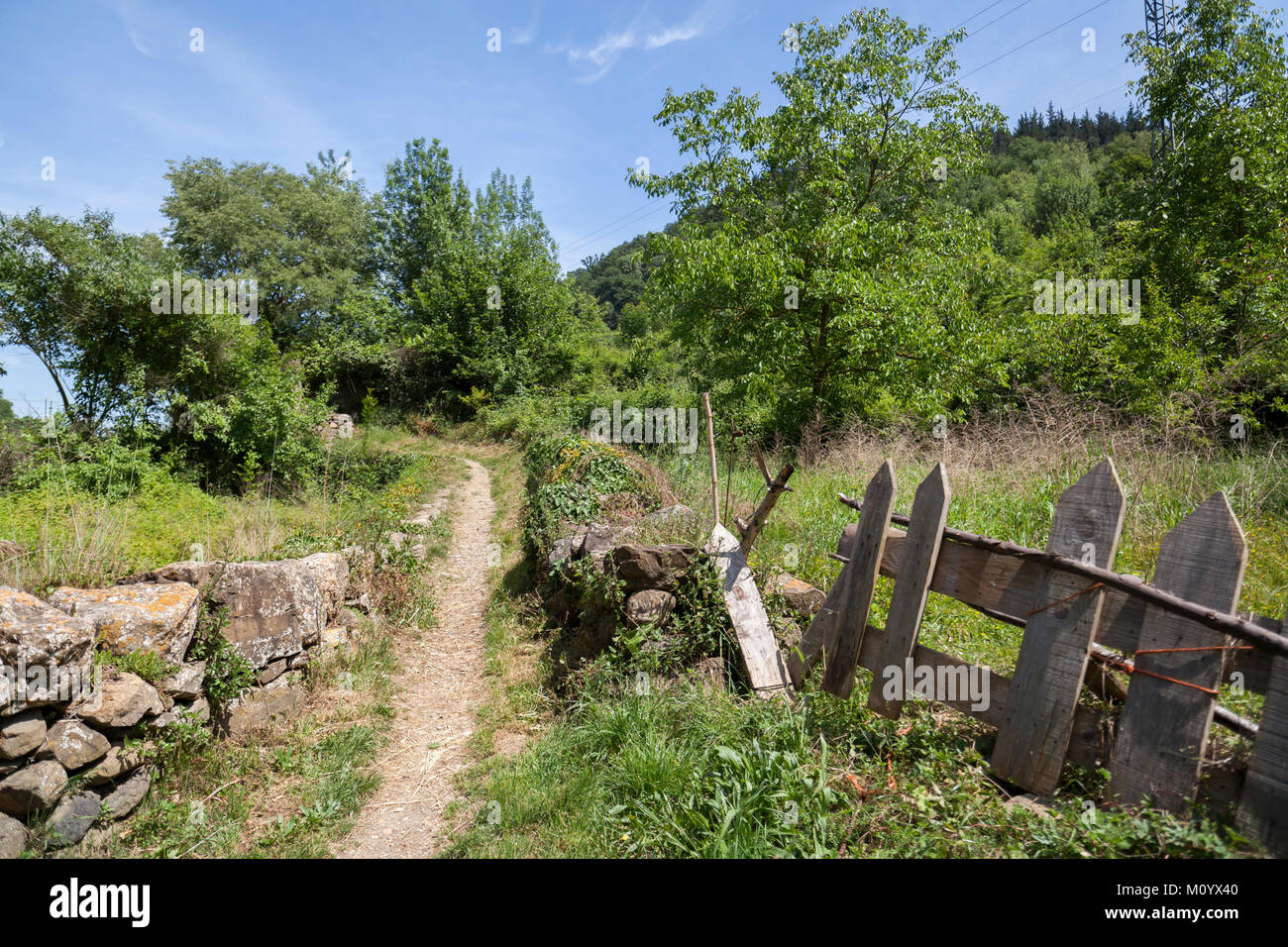 Landscape in Garrotxa region, volcanic area.Castellfollit de la Roca ...