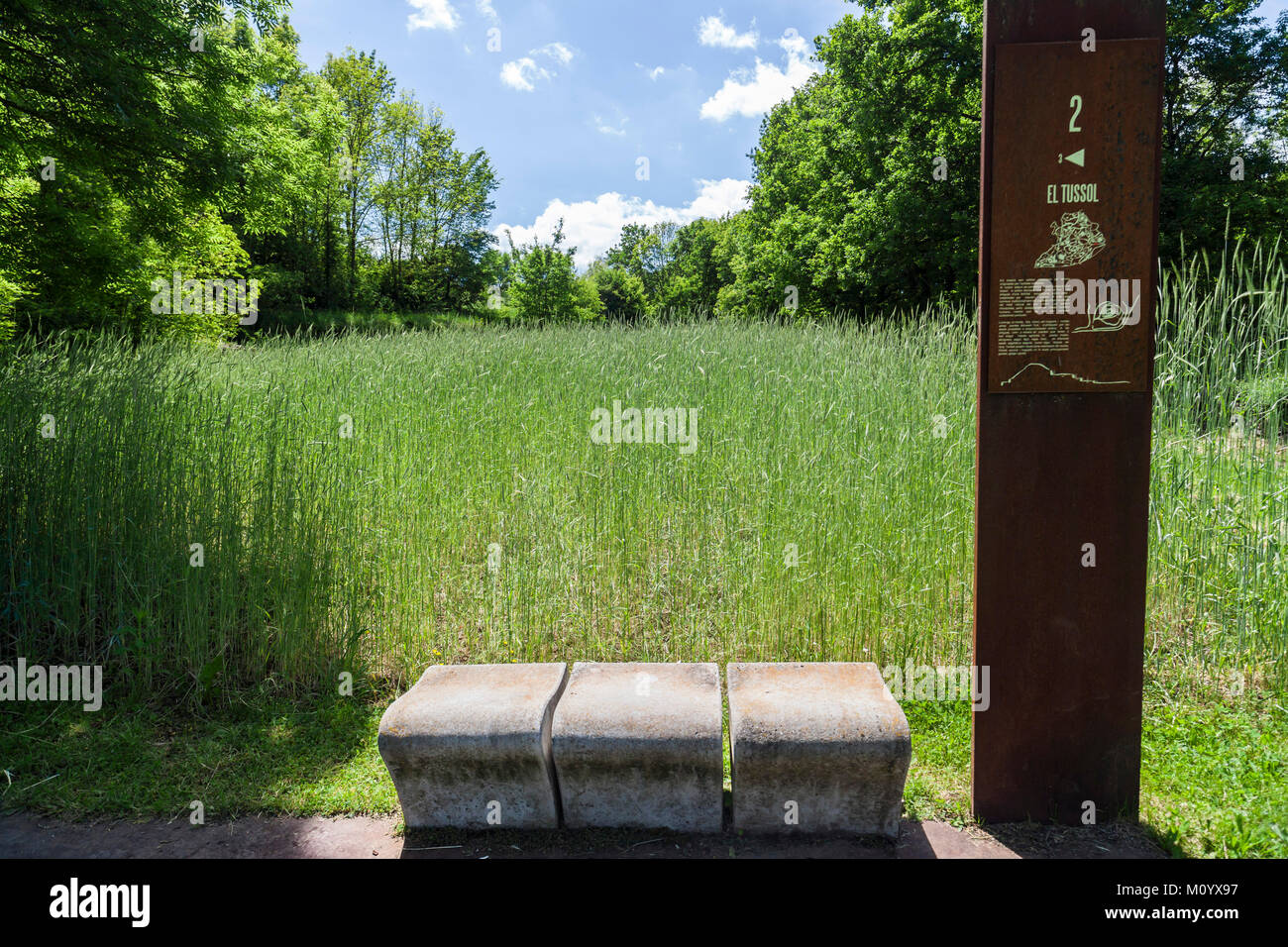 Parc de Pedra Tosca,Park Pumice stone,project by RCR Arquitectes ...