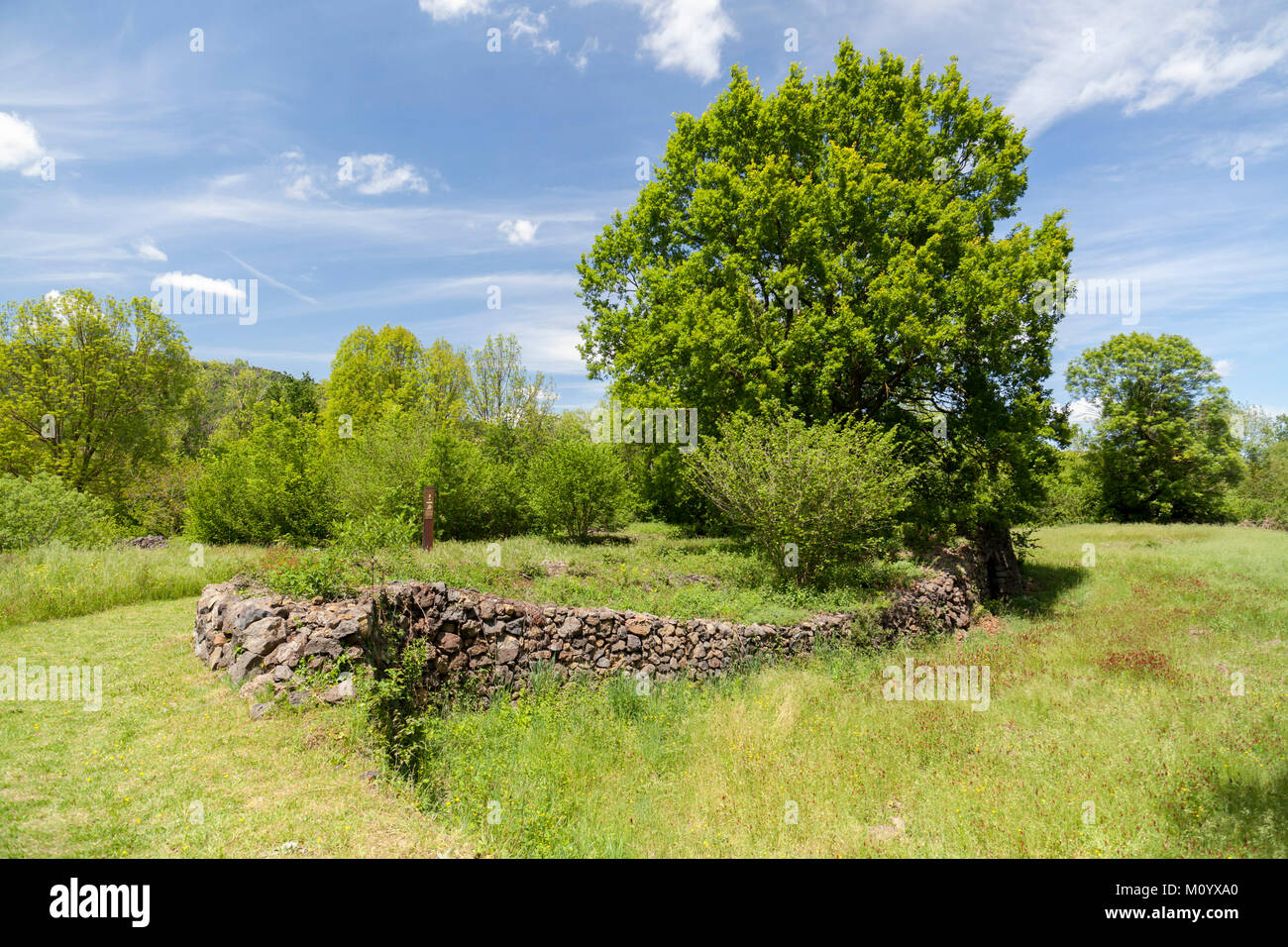 Parc de Pedra Tosca,Park Pumice stone,project by RCR Arquitectes ...