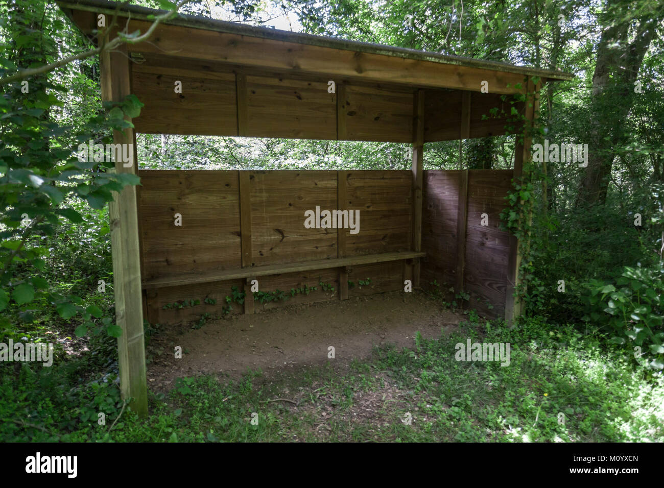 Wooden bird watching structure in forest Stock Photo - Alamy
