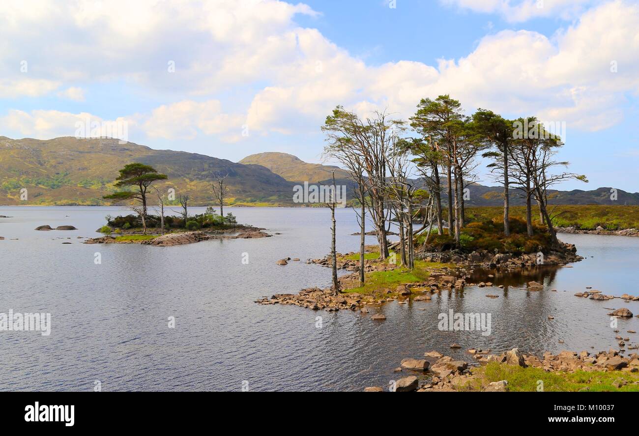 Loch Assynt, Scotland Stock Photo - Alamy