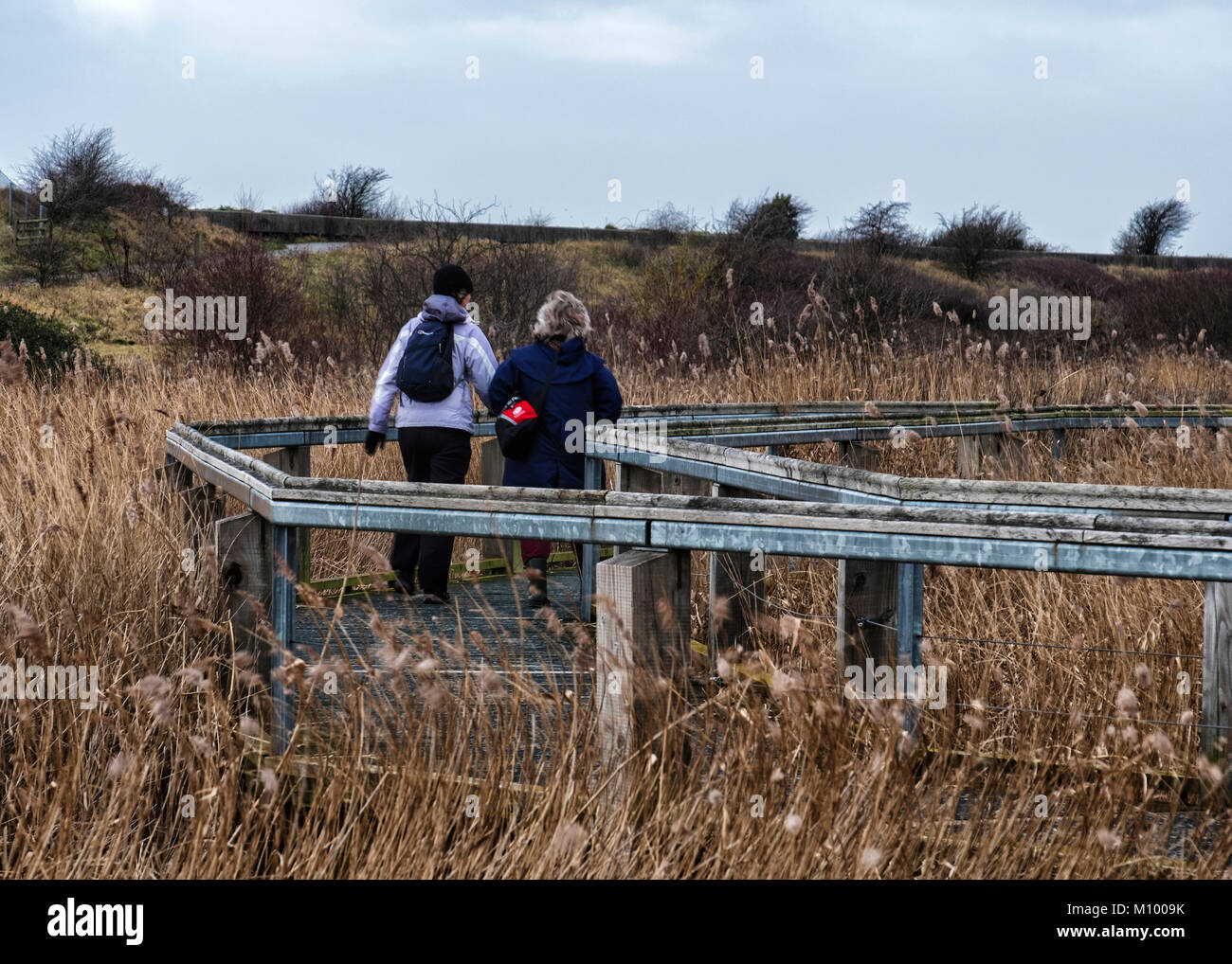 Essex,UK.Path in Rainham Marshes RSPB nature reserve next to Thames ...