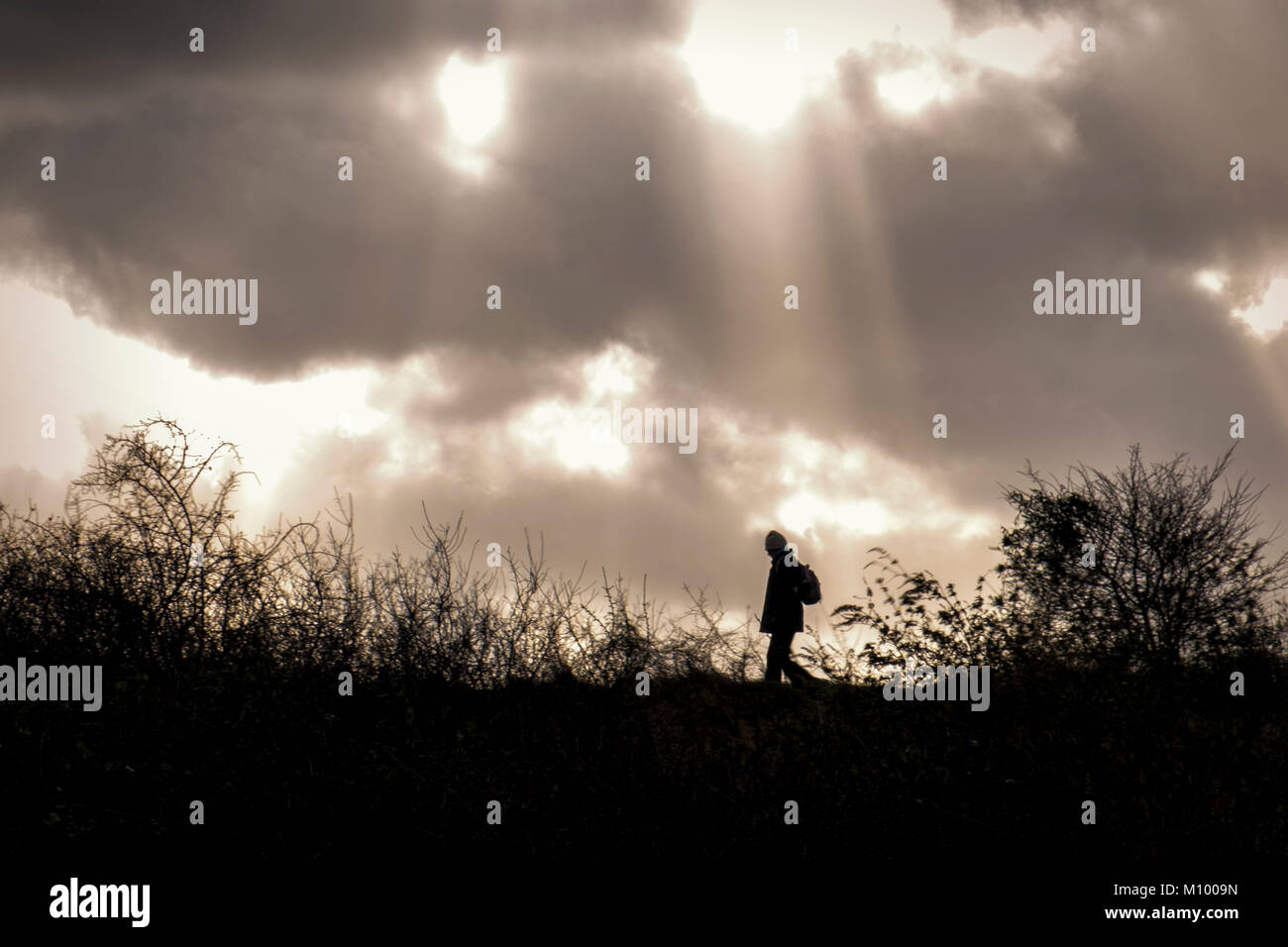 Rainham marshes firing range hi-res stock photography and images - Alamy