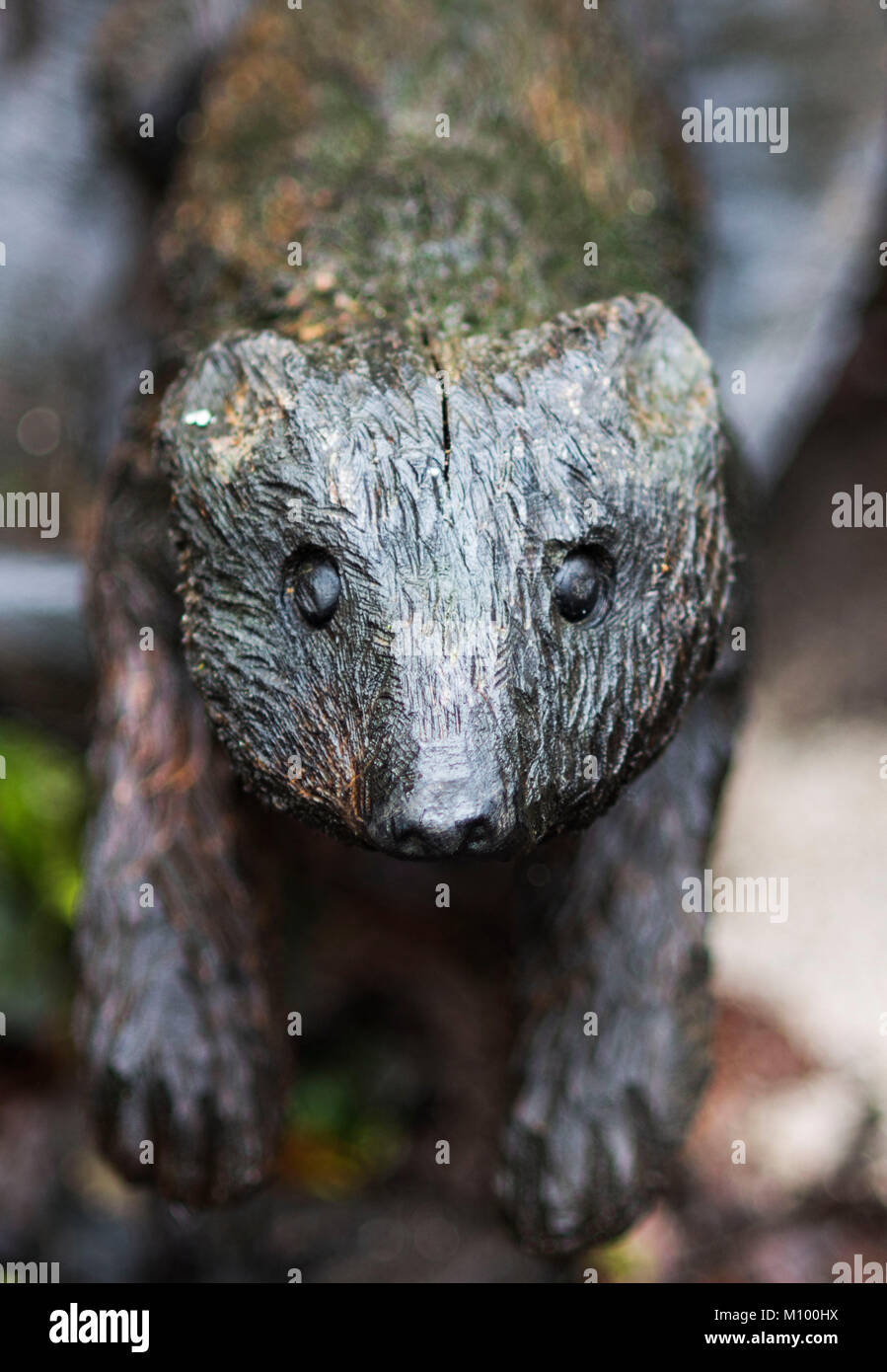 Mink Wood Carving Stock Photo - Alamy