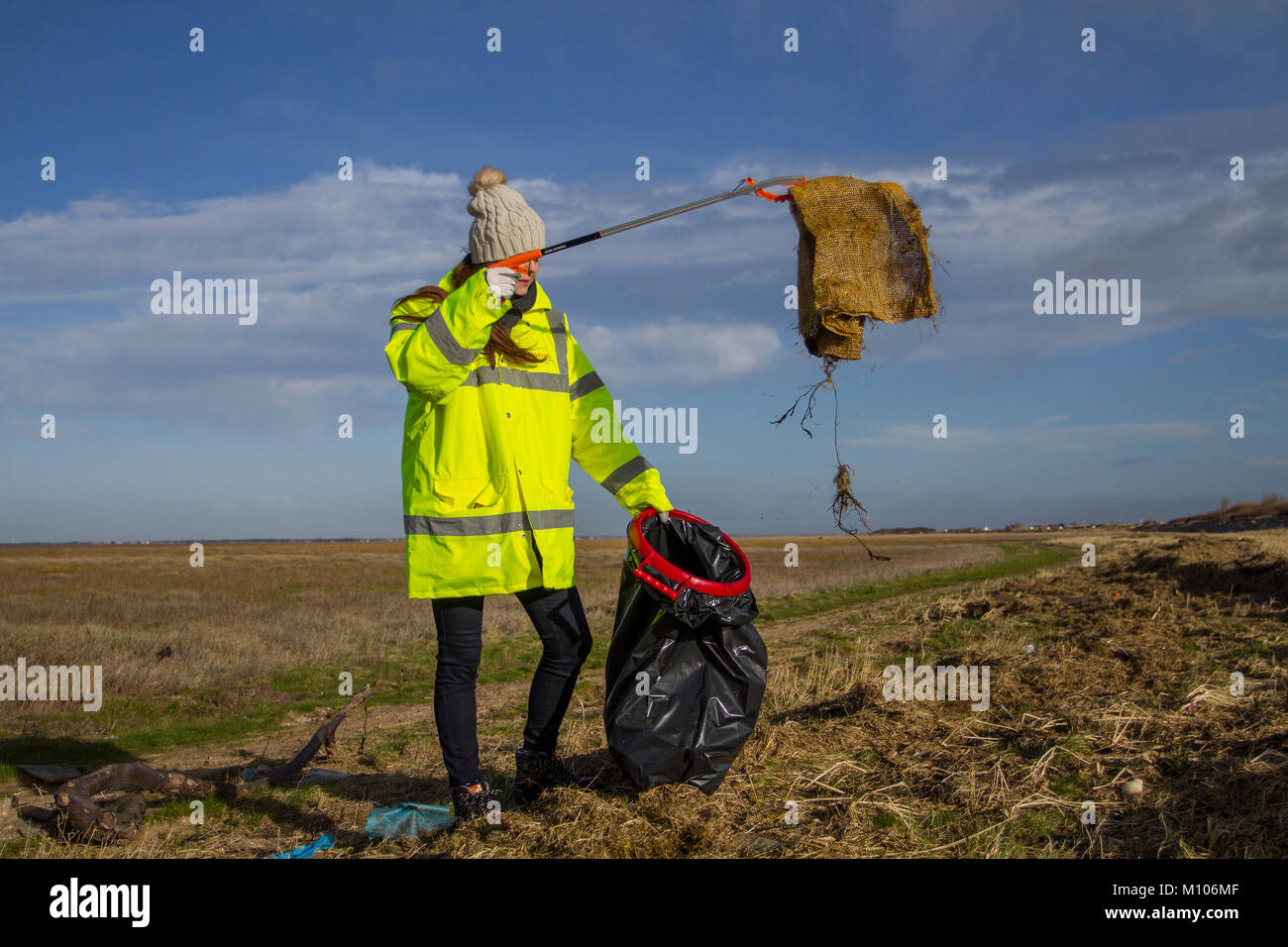 Shoreline pickers hi-res stock photography and images - Alamy
