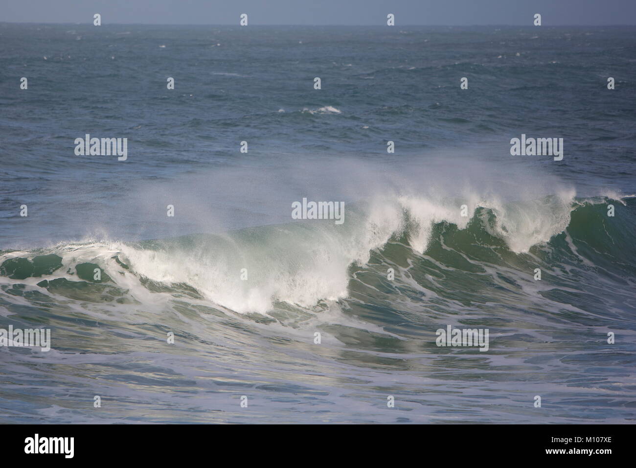 Newquay, Cornwall, UK. 25th Jan, 2018. Rough seas and 15 foot waves hit ...