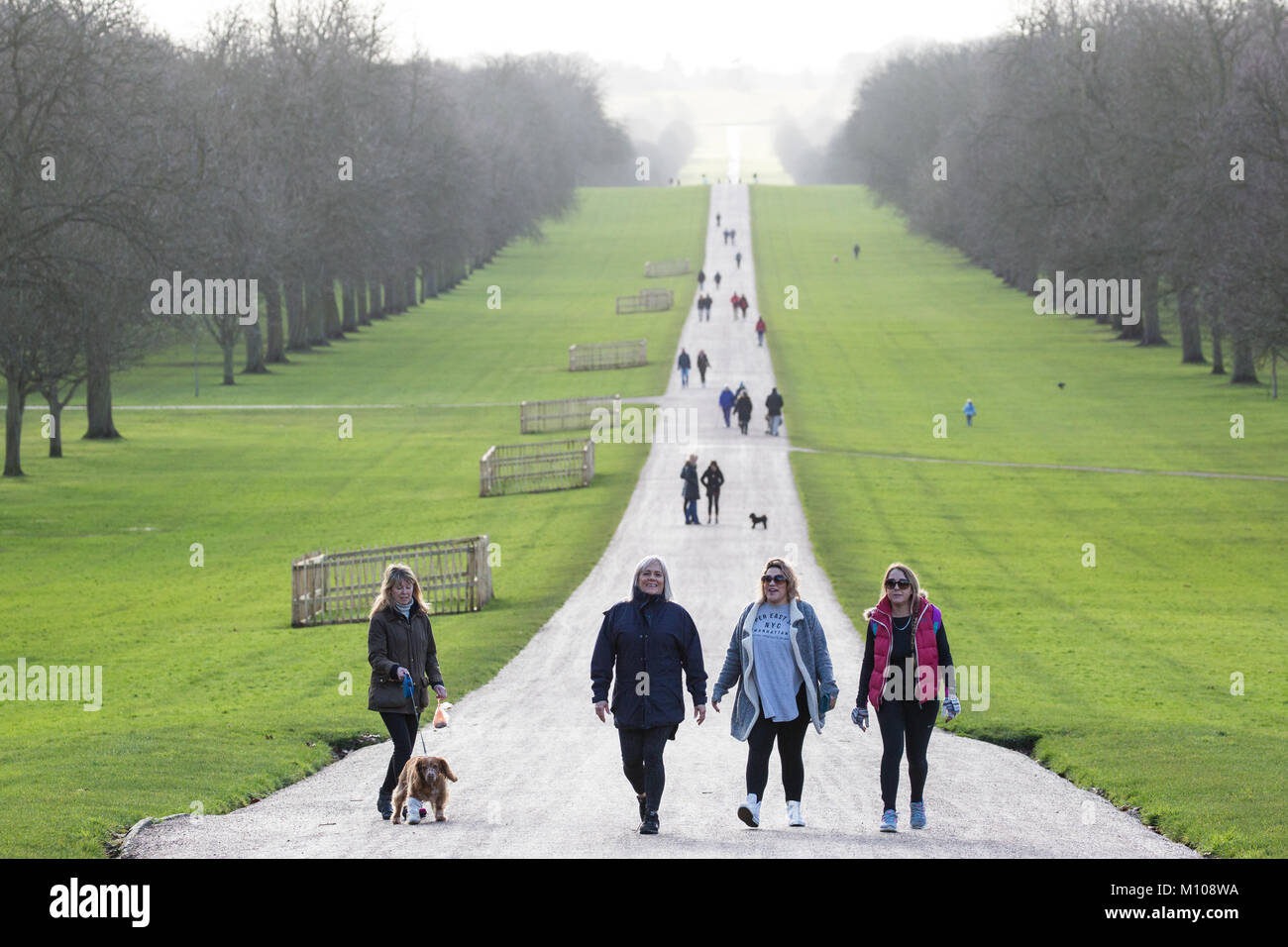Windsor great park long walk winter hi-res stock photography and images ...